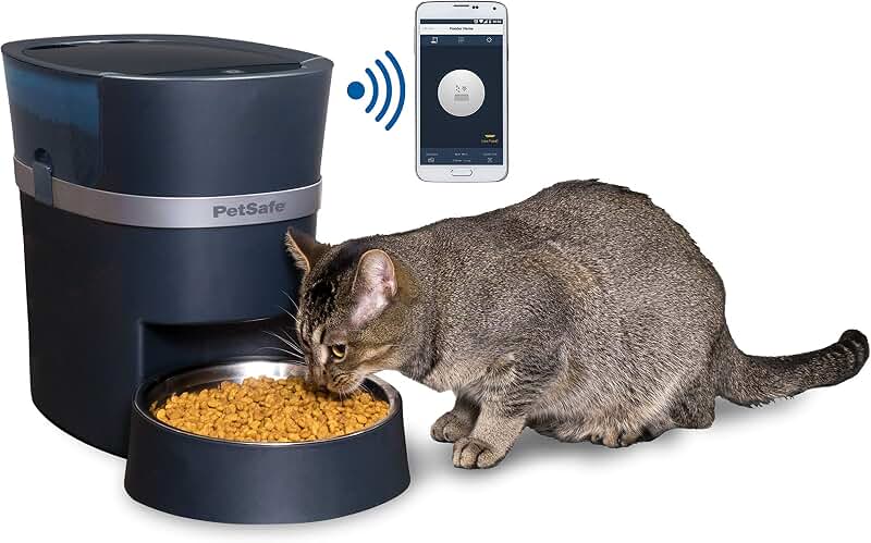 Amazon.com: automatic cat feeders with timer