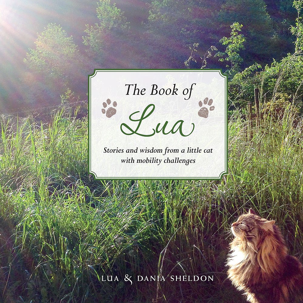 The Book of Lua: Stories and Wisdom from a Little Cat with Mobility ...