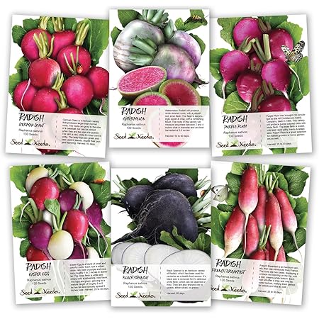 Amazon.com : Seed Needs, Multicolor Radish Seed Packet Collection (6 ...