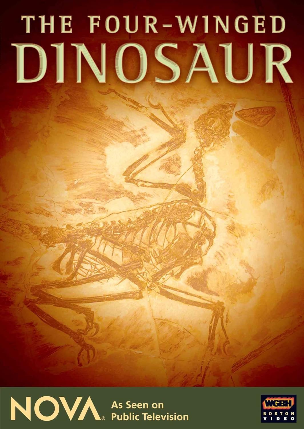 Amazon.com: NOVA: The Four-Winged Dinosaur : Nova, Nova: Movies & TV