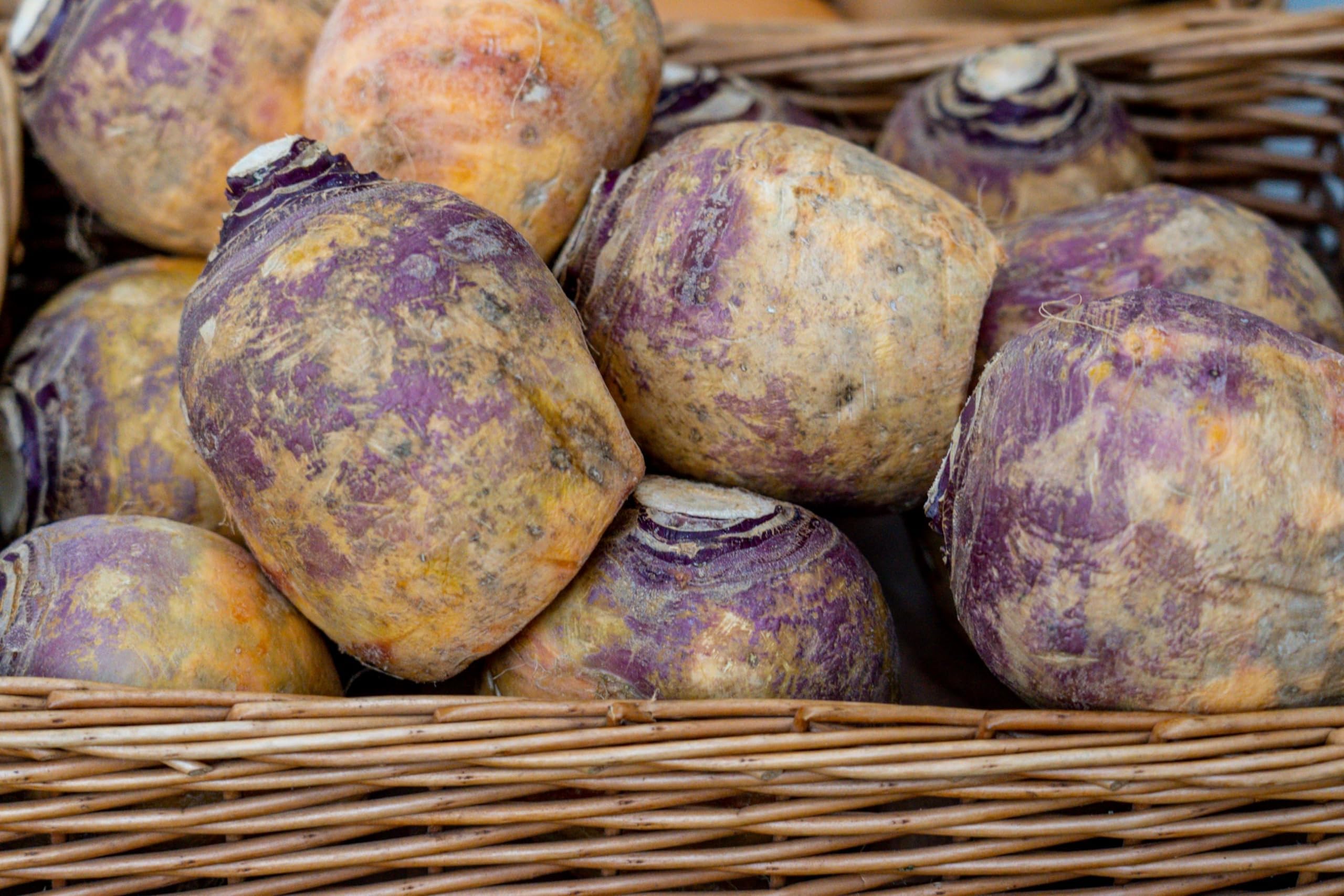 Amazon.com : Rutabaga, American Purple Top Rutabaga Seeds, Heirloom ...