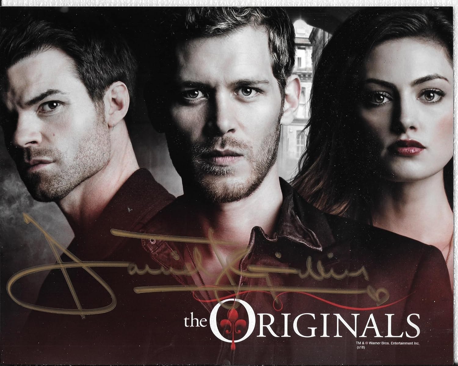 Daniel Gillies (Elijah Mikaelson) 8 x 10 AUTOGRAPH Photograph Vampire ...