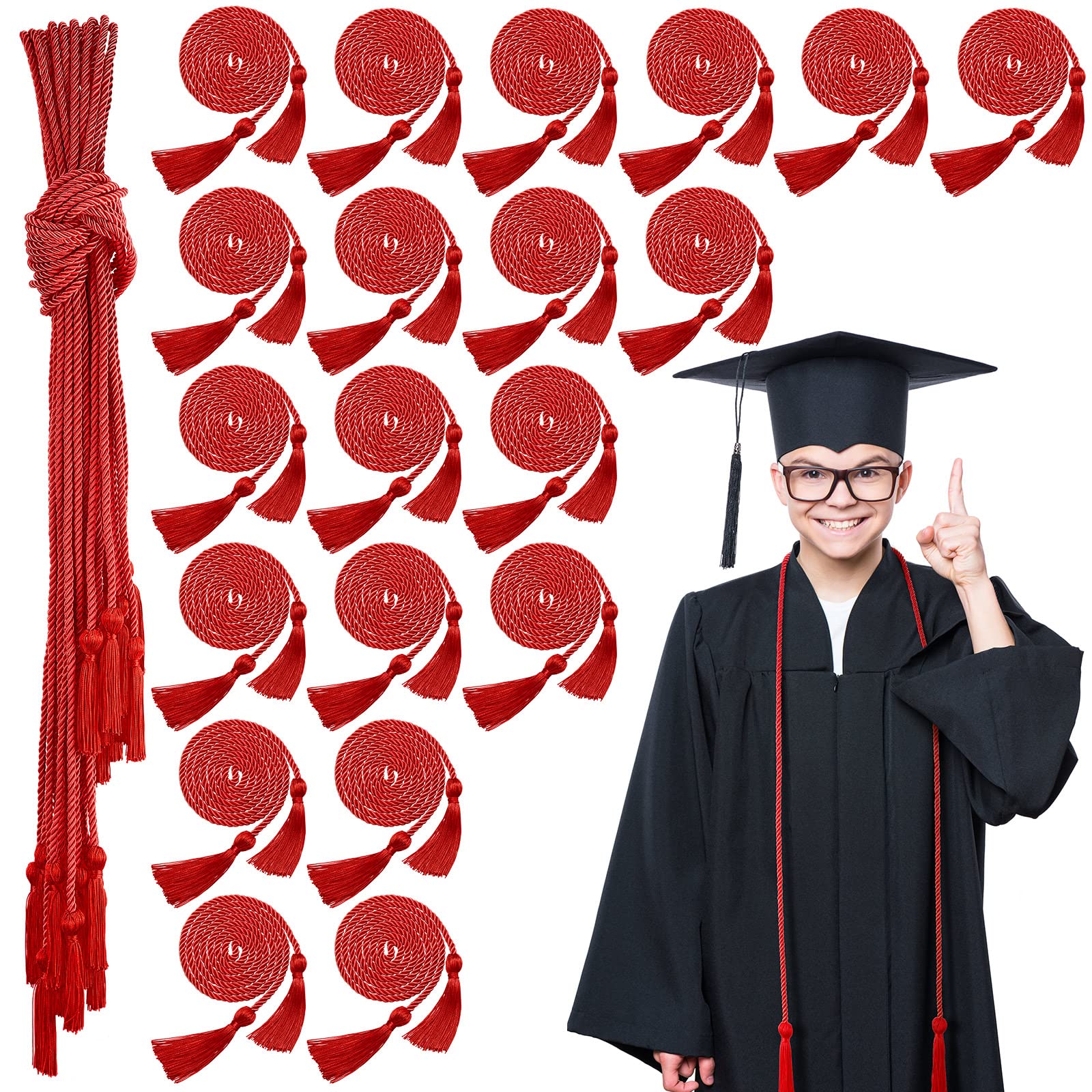 Snapklik.com : Shappy 20 Pieces Graduation Cords Bulk Graduation Tassel ...