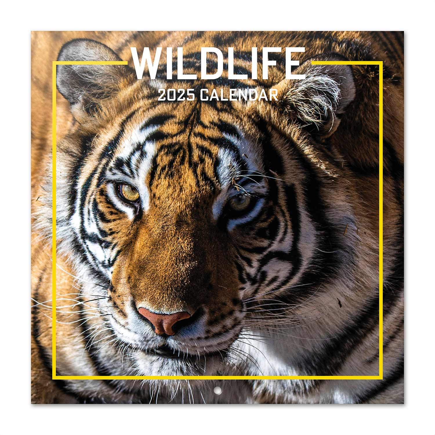 Grupo Erik Wall Calendar 2025 – Wildlife | 12″ x 12″ Square Calendar ...