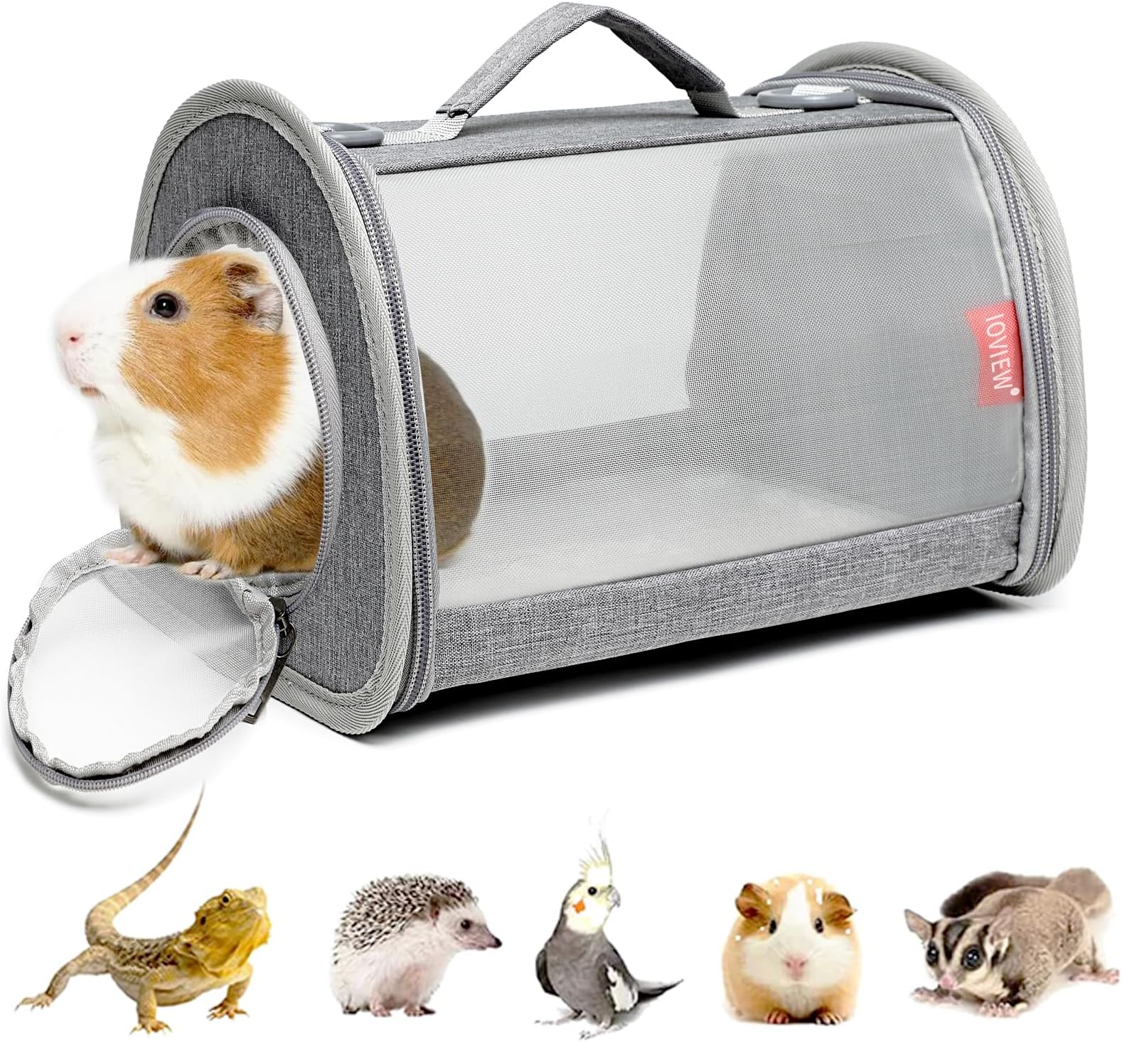 Amazon.com : Portable Mini Carrier Hamster Cage - Outdoor Carry Bag ...