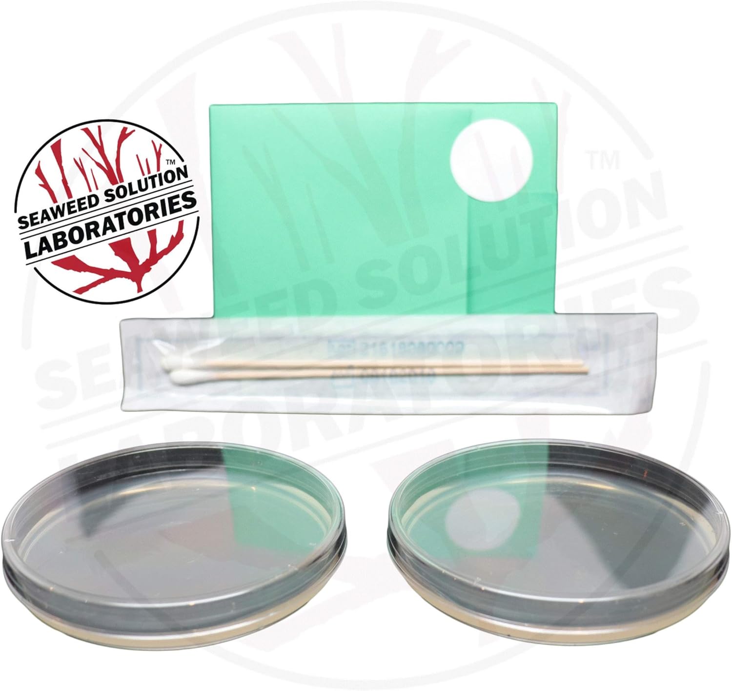 Amazon.com: Nutrient Agar Plates - Sterilized - 2, 100 Millimeter ...