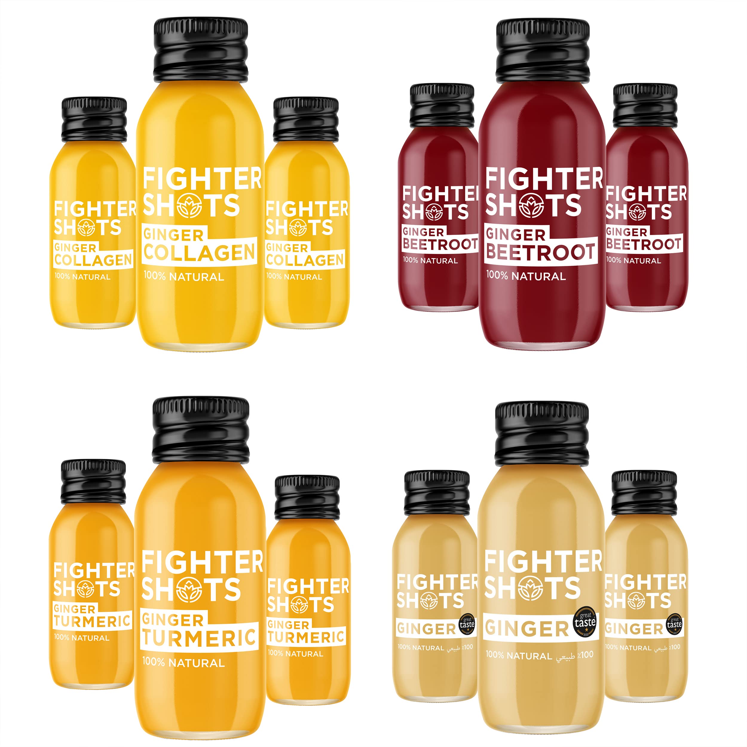 Fighter Shots Mixed Pack (12x60ml)| Ginger, Ginger Turmeric, Ginger ...