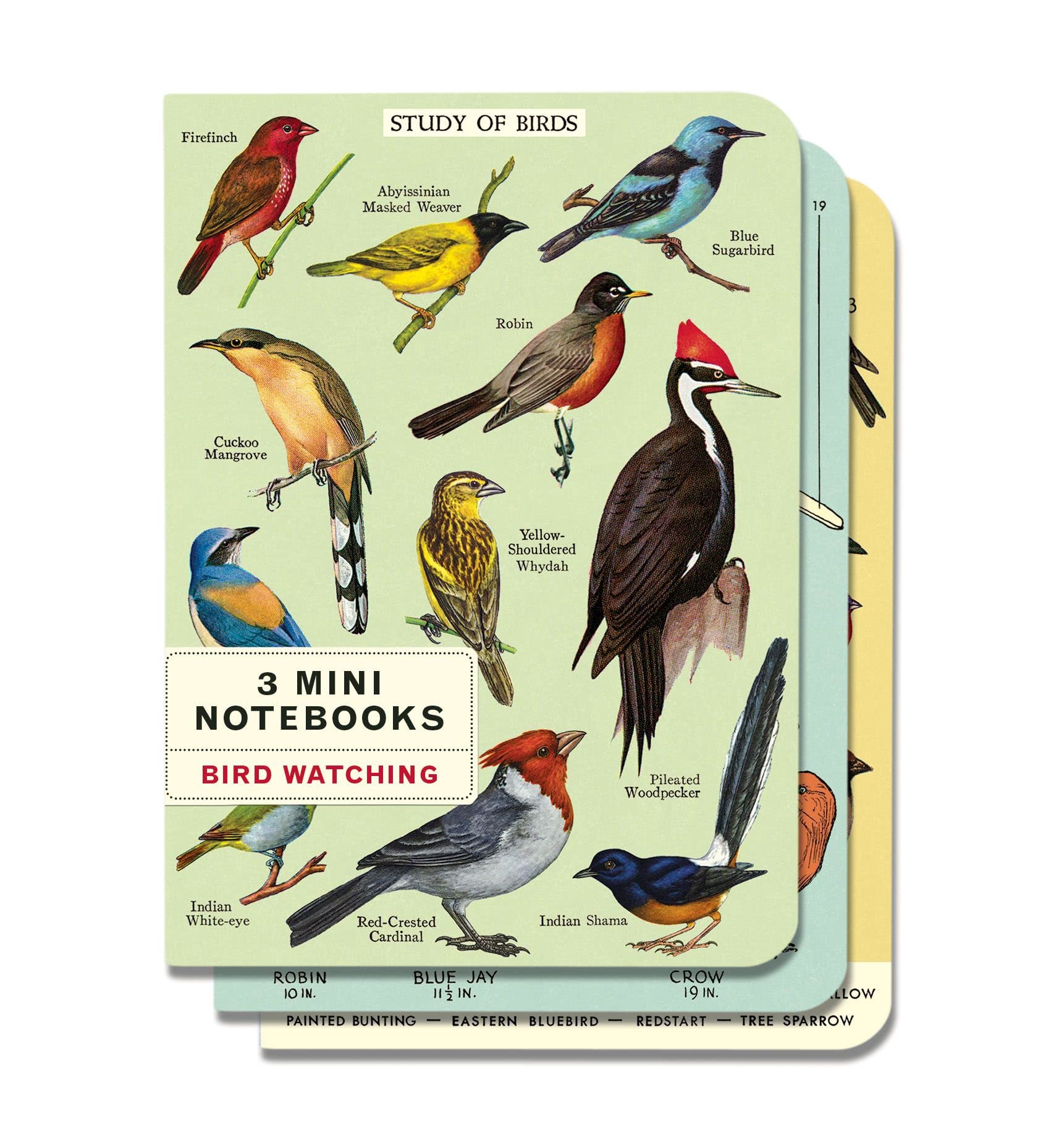 Free Printable Bird Watching Journal Pages - Ashley Yeo