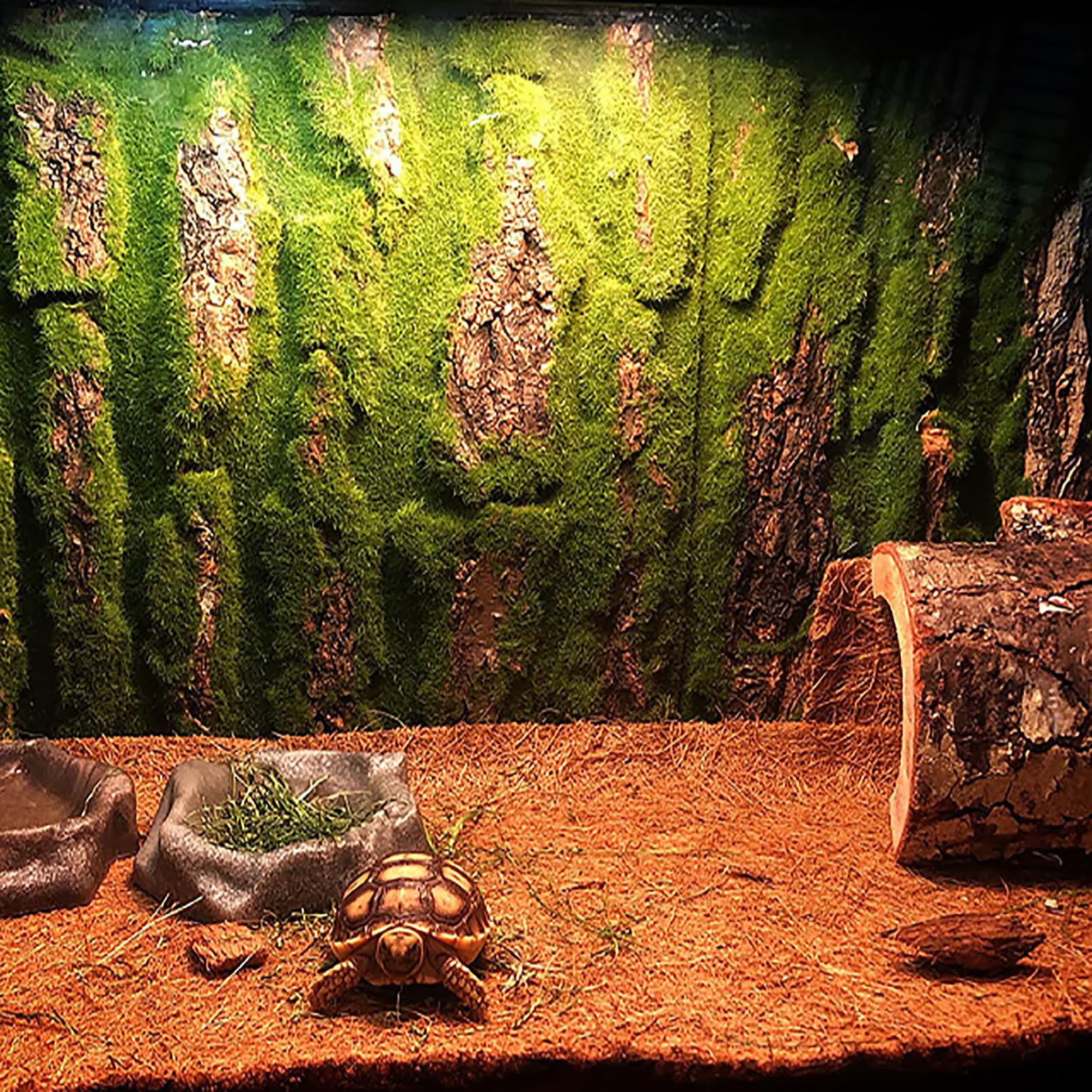 Terrarium Background 10-Pack Cork Bark Reptile Background - Natural ...
