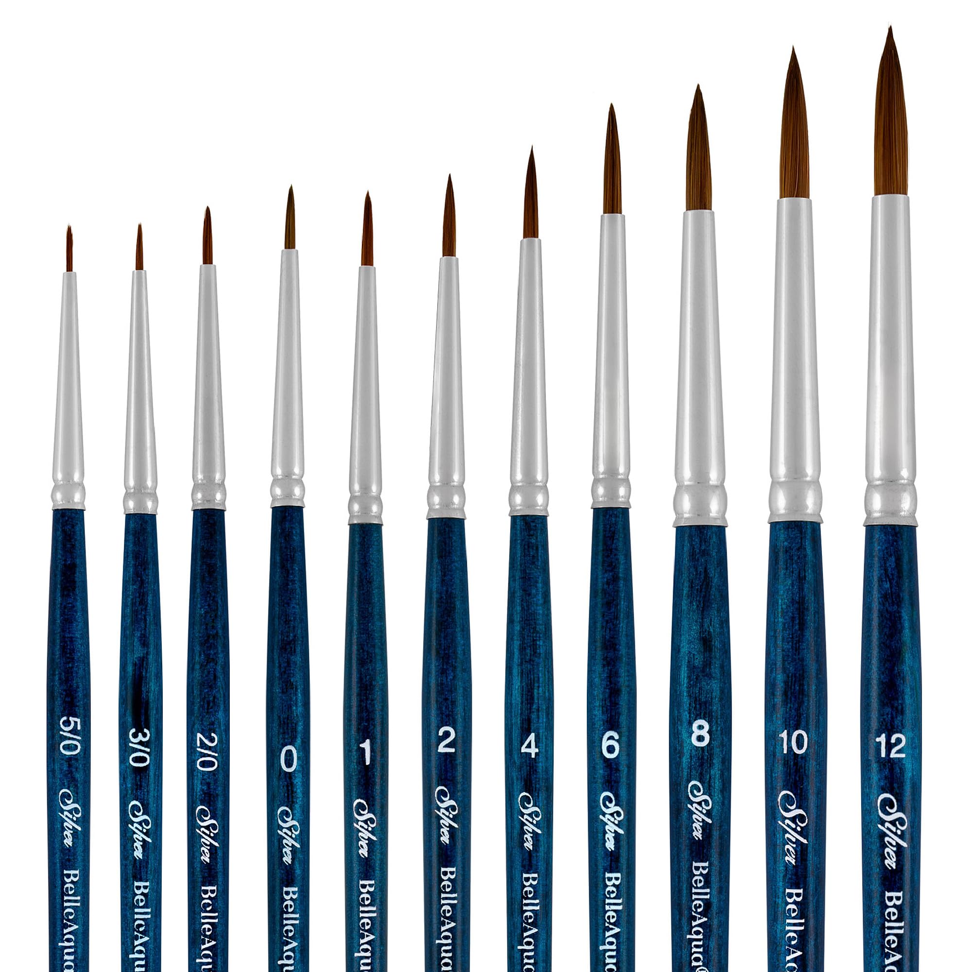 Amazon.com: Silver Brush Limited BA-2751S BelleAqua Endless Expression ...