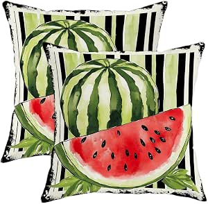 Amazon.com: Watermelon Throw Pillow Covers Set of 2, Summer Red ...