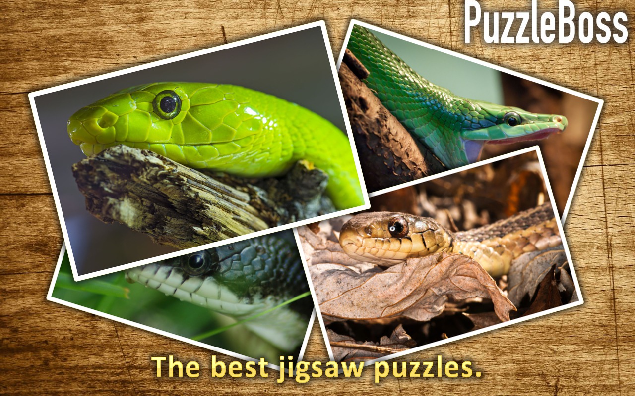 Snakes Jigsaw Puzzles - App on Amazon Appstore