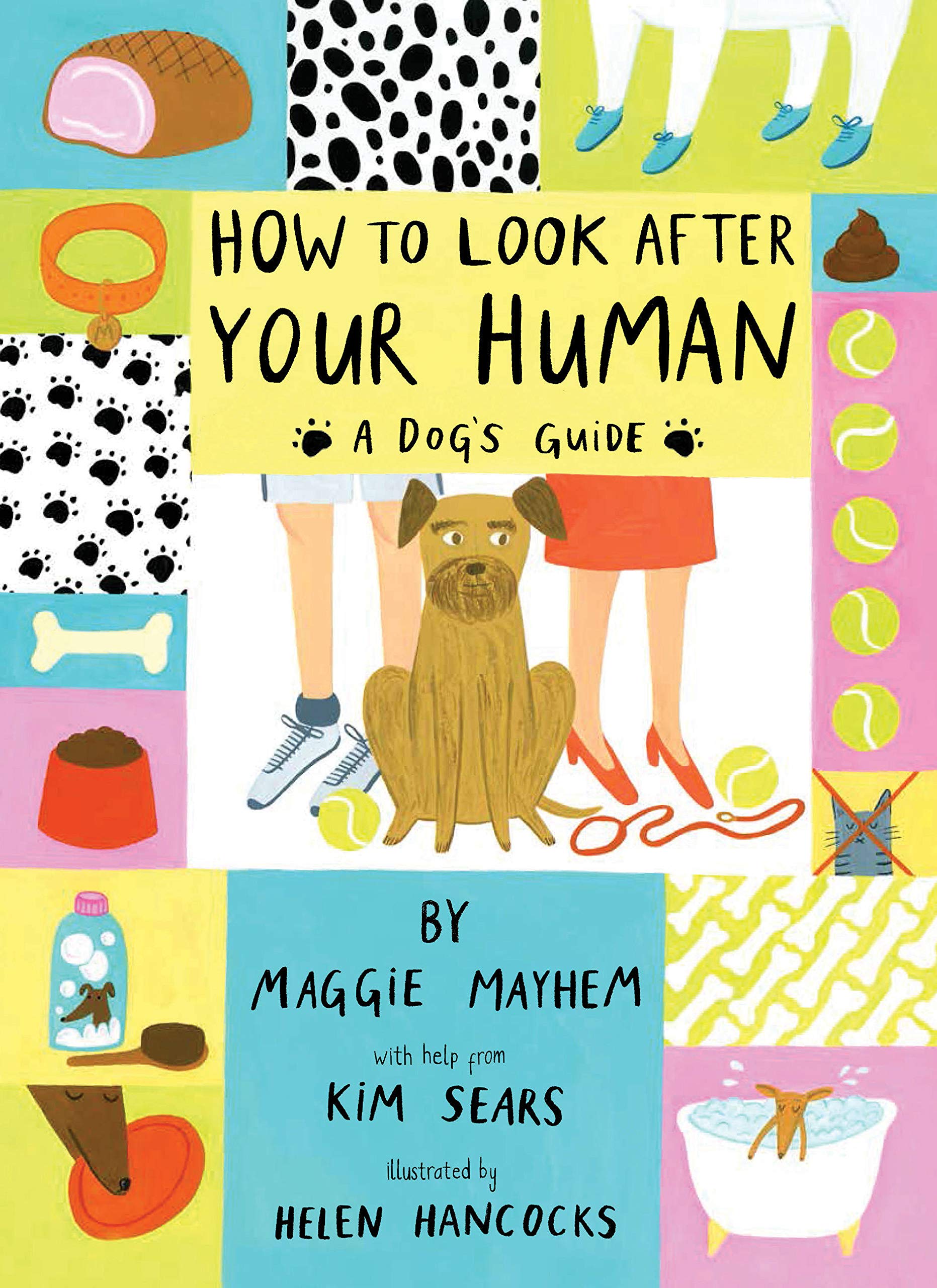 How to Look After Your Human: A Dog's Guide : Sears, Kim, Mayhem ...
