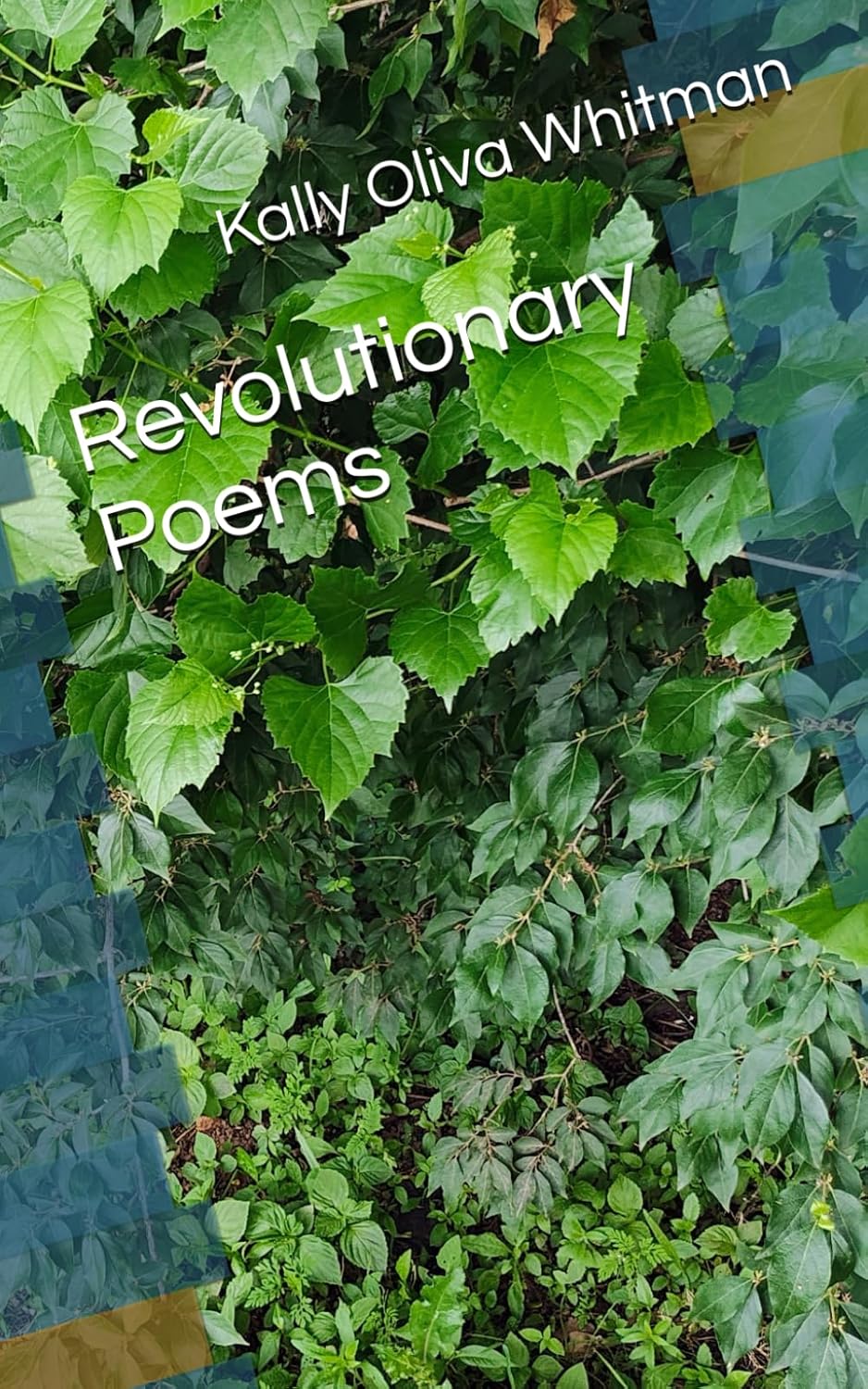 Revolutionary Poems: Oliva Whitman, Kally Ann: 9798284939710: Amazon ...