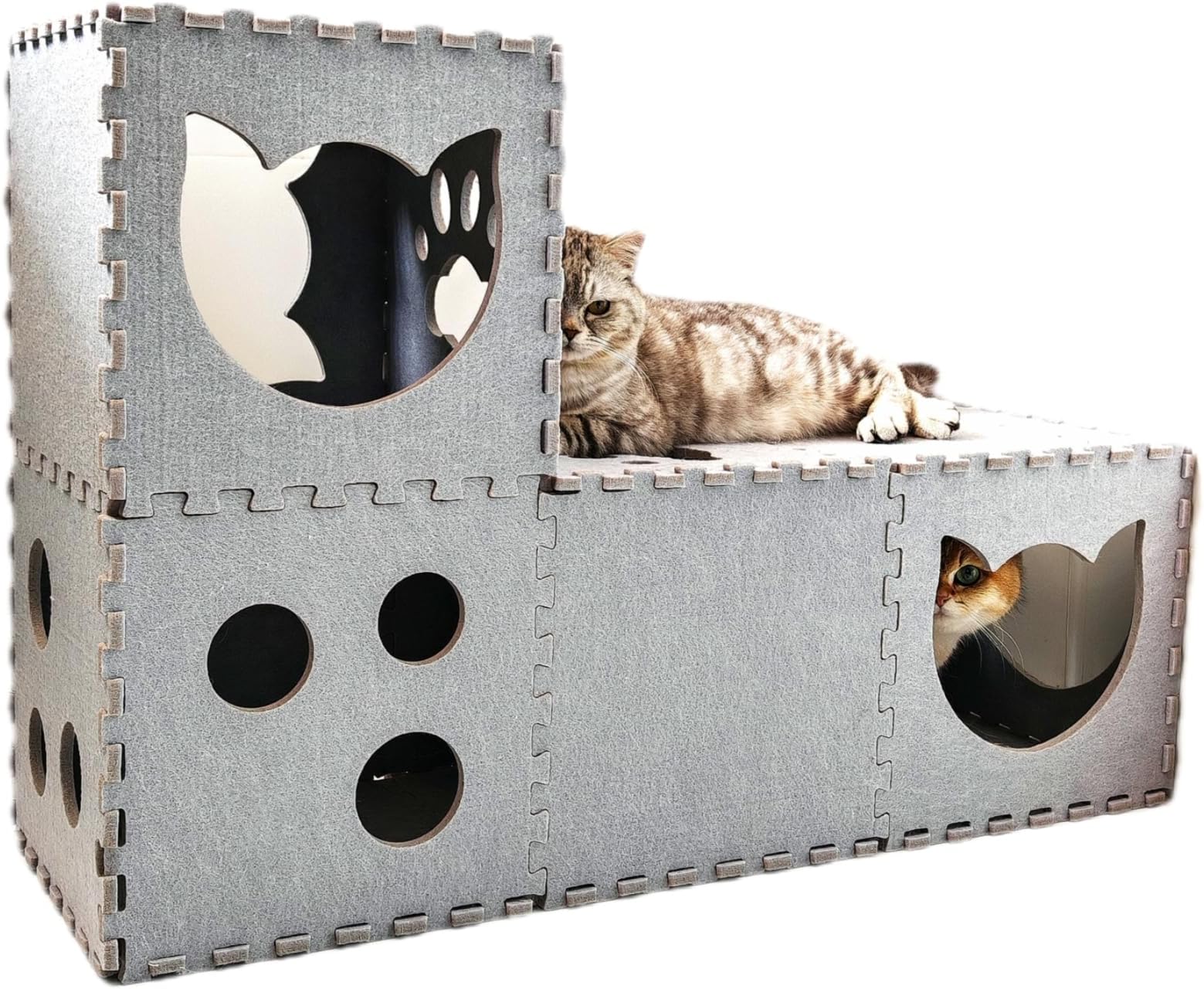 Amazon.com: Spindro DIY Cat Tunnels for Indoor Cats, Foldable Cat Cube ...