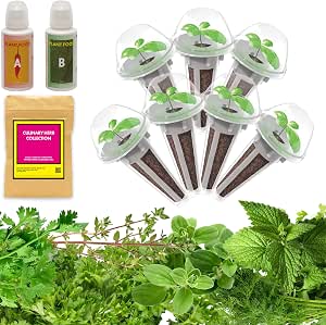 Amazon.com : LYKOCLEAN LYKO Dill Seed Pod Kit for Hydroponics Growing ...