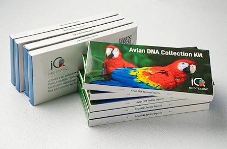 Amazon.com: Bird DNA Gender Test Kit – Accurate Avian Sexing Using ...
