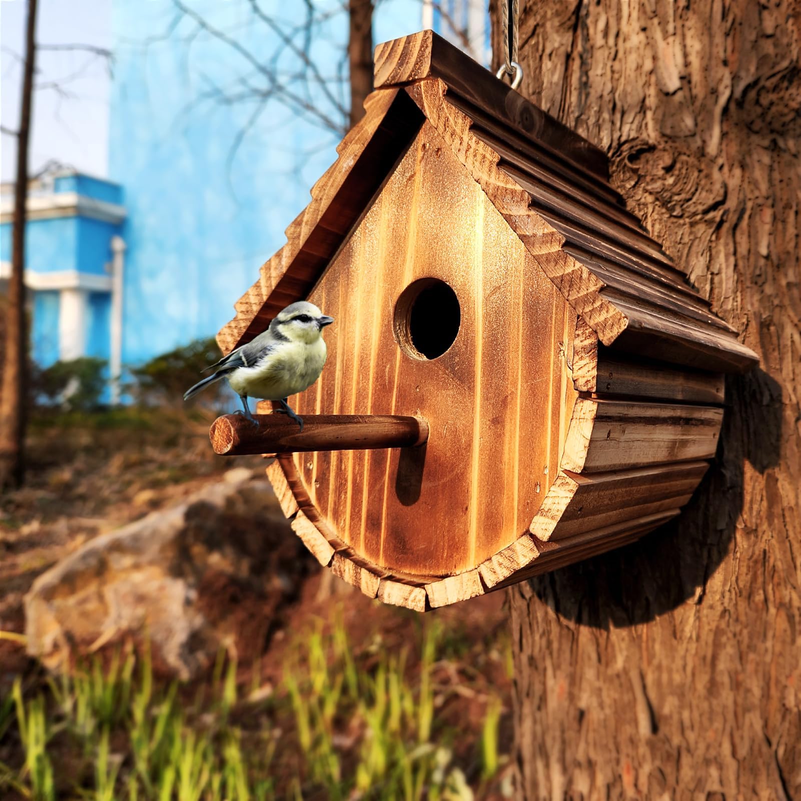 Amazon.com: KWISAMR Wren Houses for Outdoors,Natural Wooden Bird Houses ...