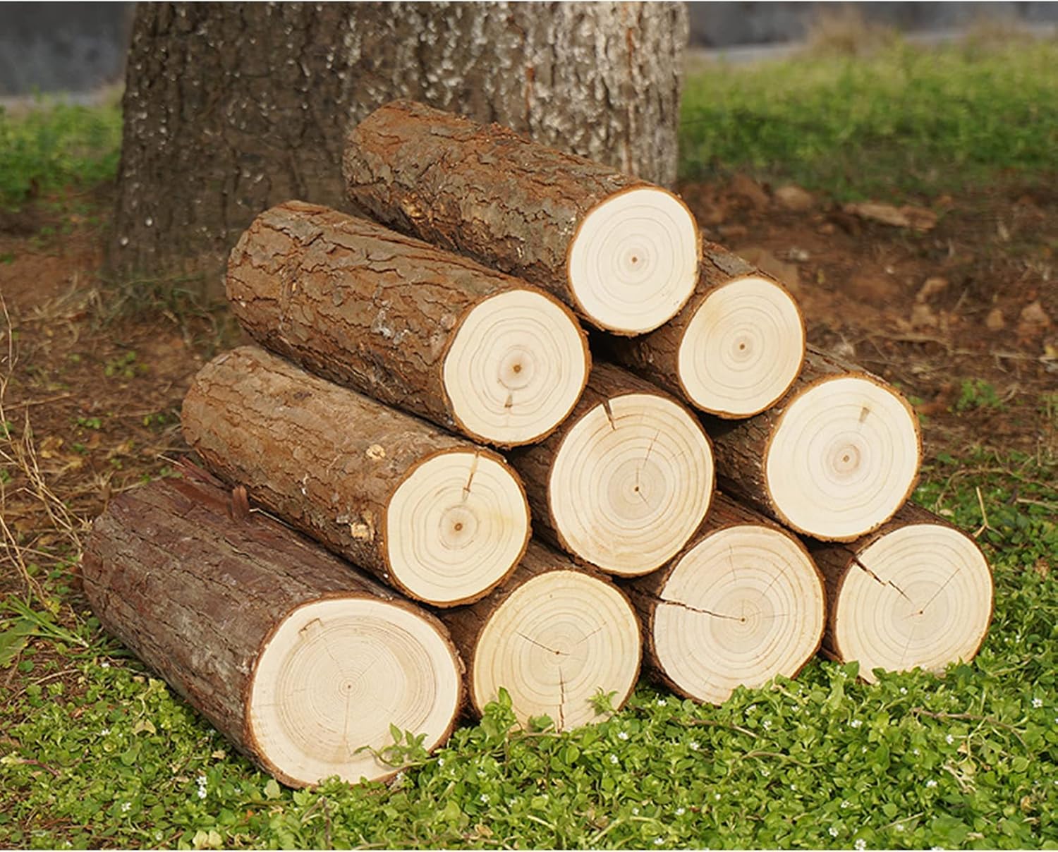 TRGCJGH Bois de chauffage naturel séché au four, bûches de bois pour ...