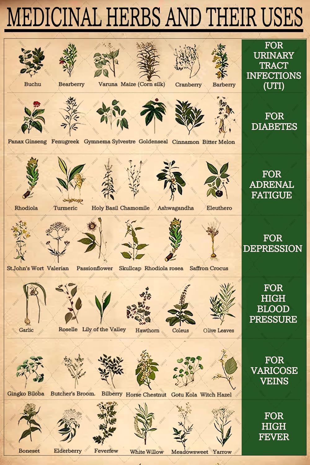 Amazon.com: EMOHAT Medicinal Herbs and Their Uses Metal Tin Sign Wall ...
