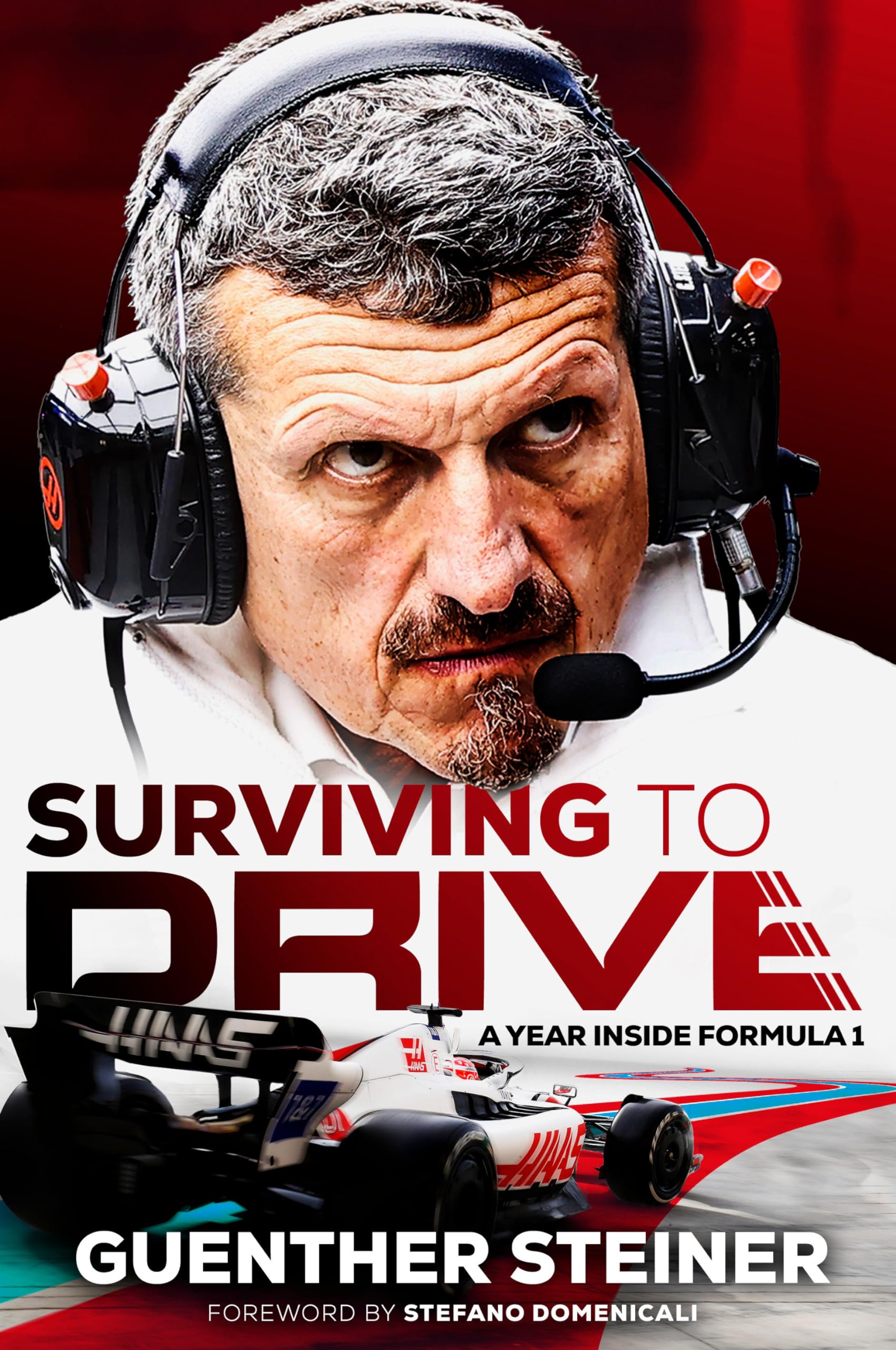 Surviving to Drive: An exhilarating account of a year inside Formula 1 ...