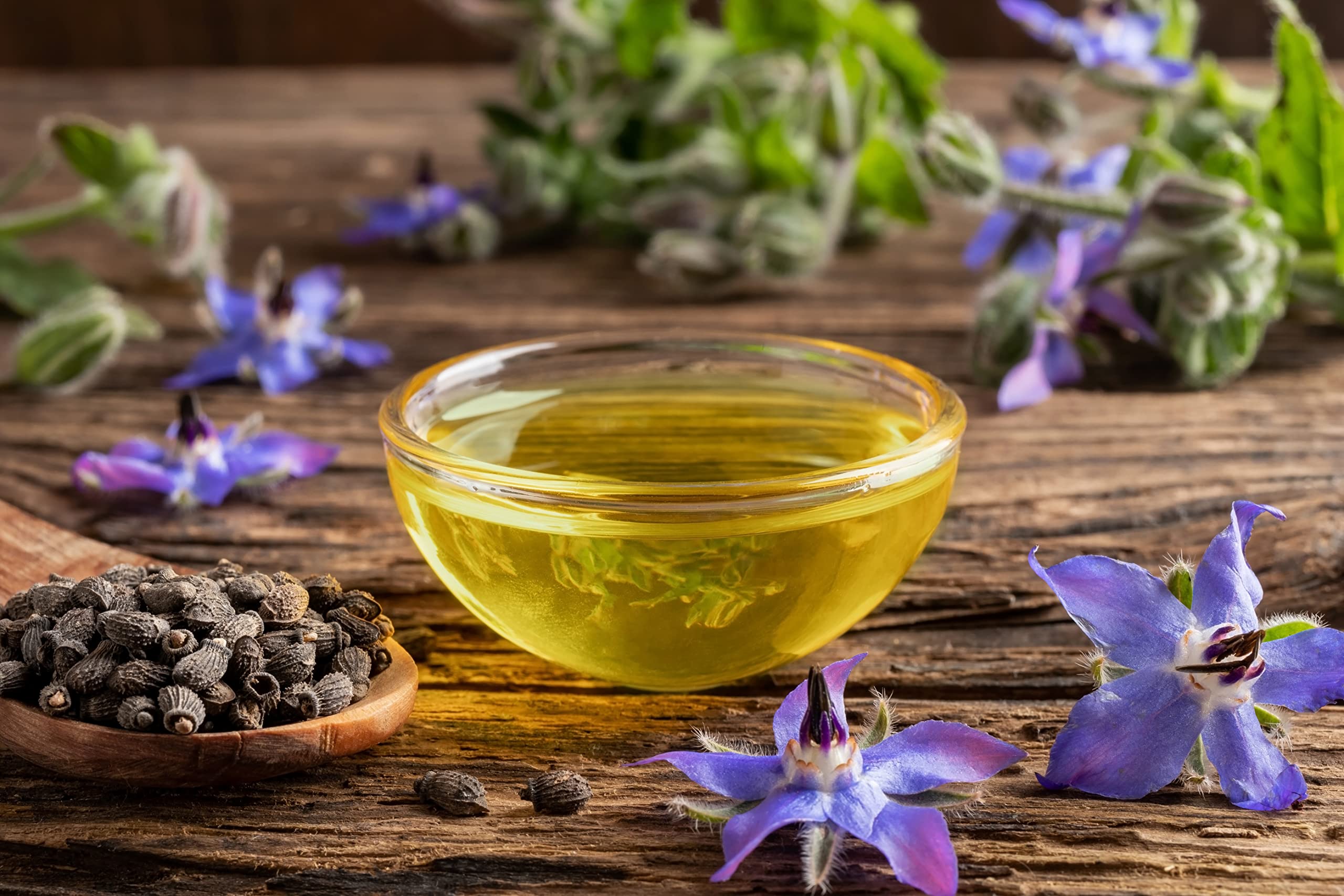Borage Oil