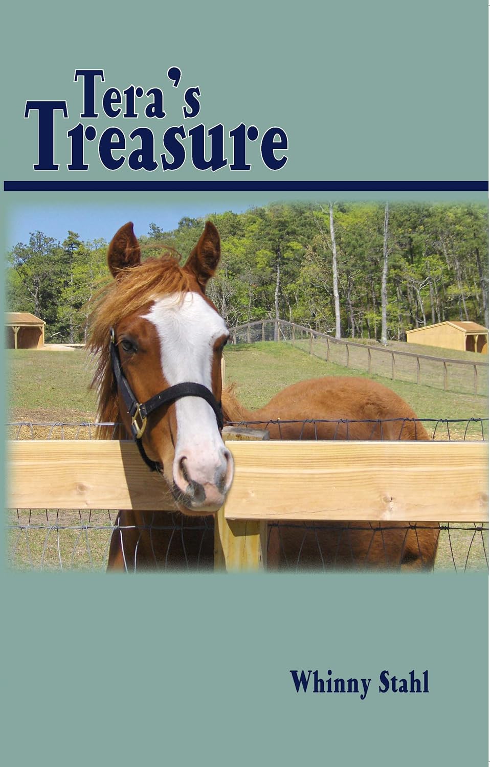 Tera's Treasure: Whinny Stahl: 9780982691144: Amazon.com: Books