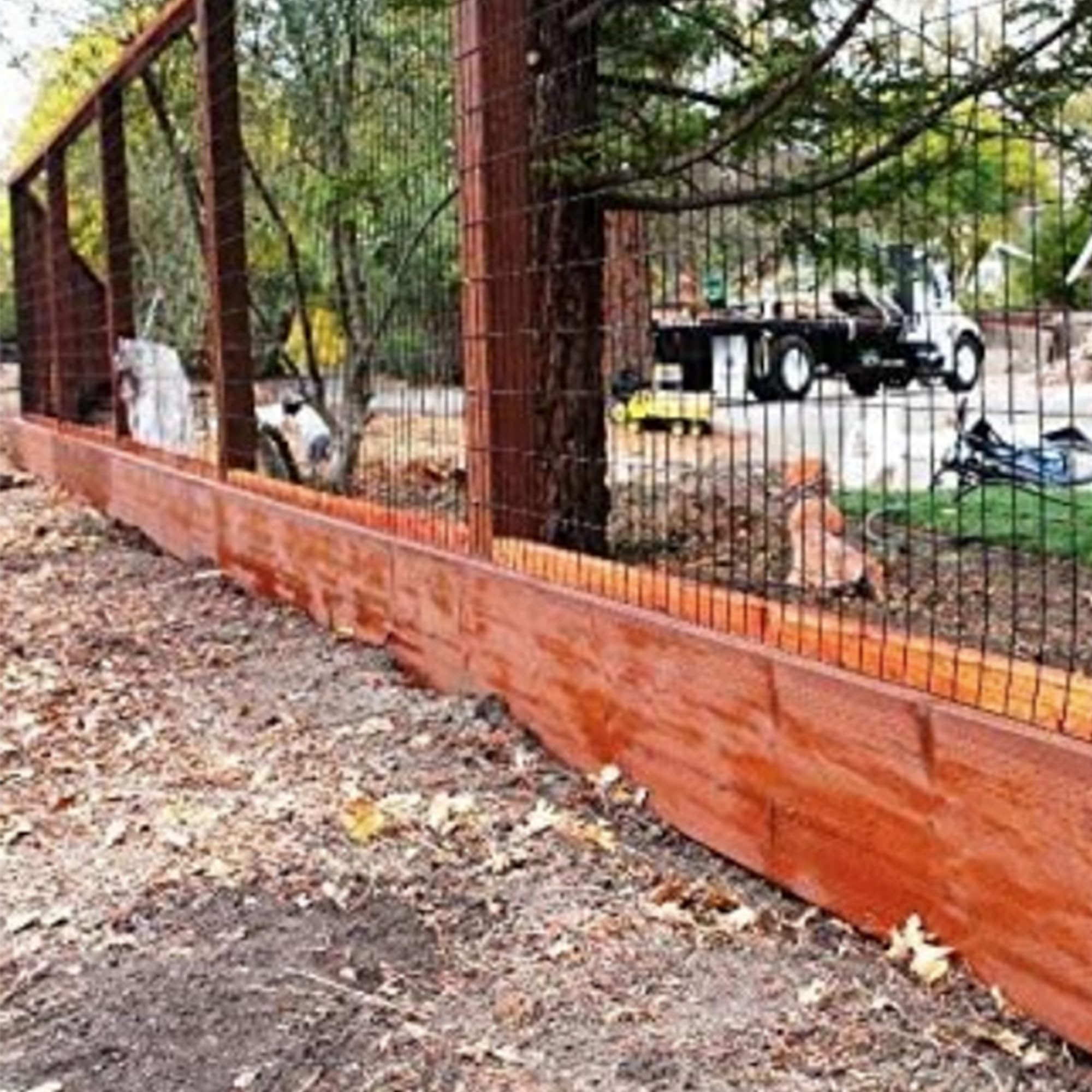 Welded Wire Fence The Science Of PVC Coated Welded Mesh: Unveiling