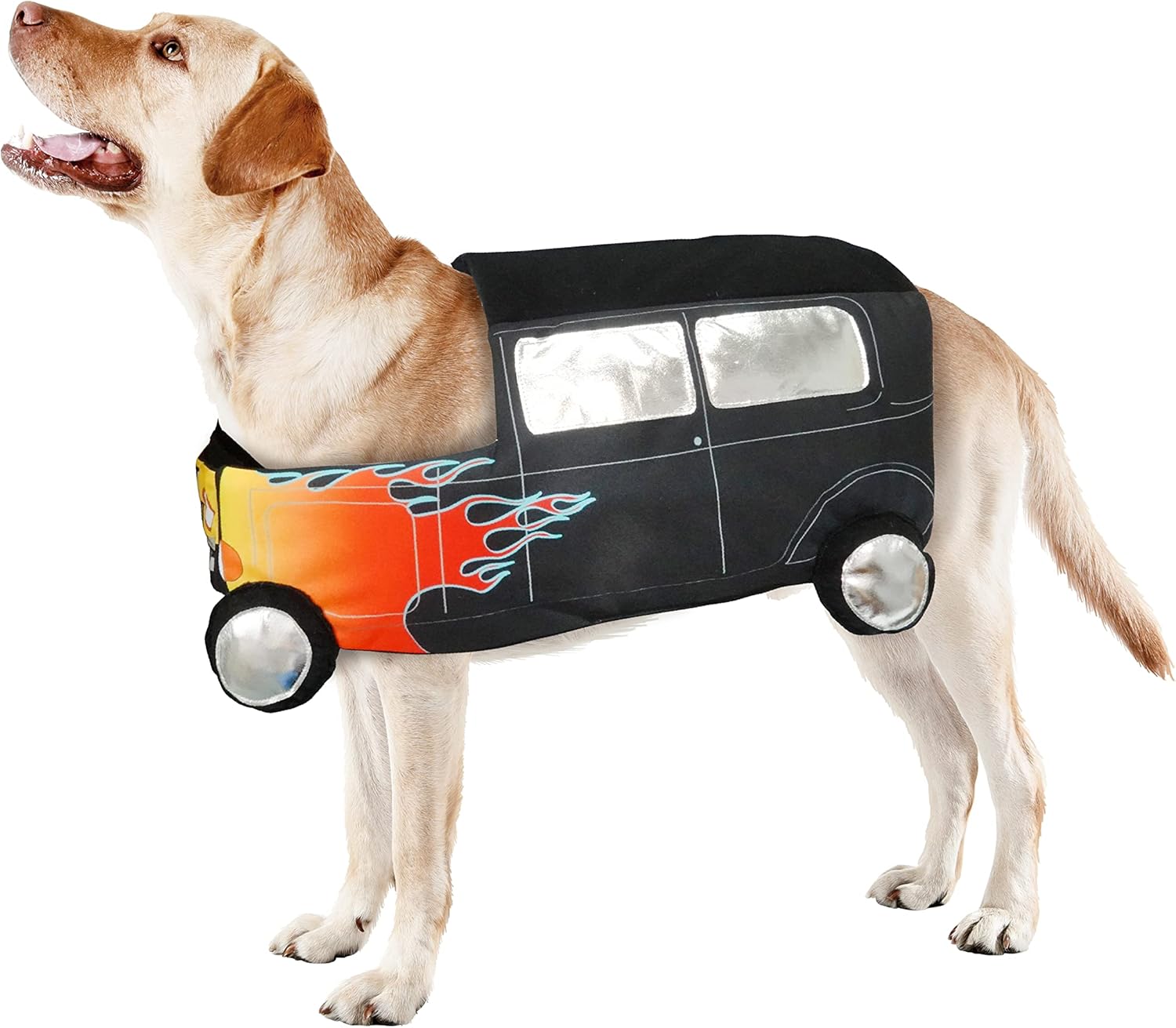 Amazon.com : Best Furry Friends Hot Rod Dog Costume, Large : Pet Supplies