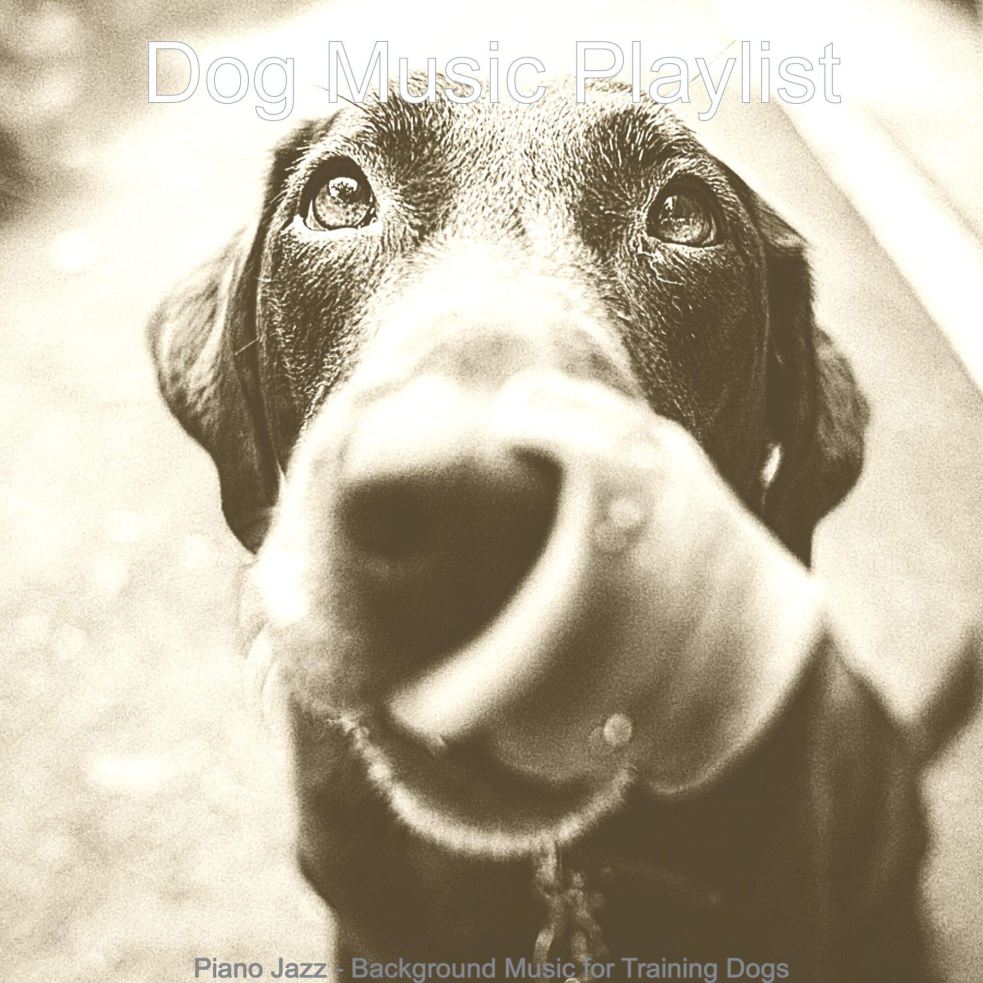 Piano Jazz - Background Music for Training Dogs von Dog Music Playlist ...