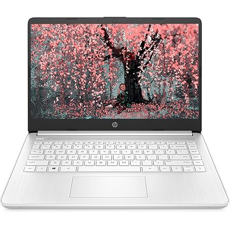 Amazon.com: HP Premium 14-inch HD Thin and Light Laptop, Intel Dual ...