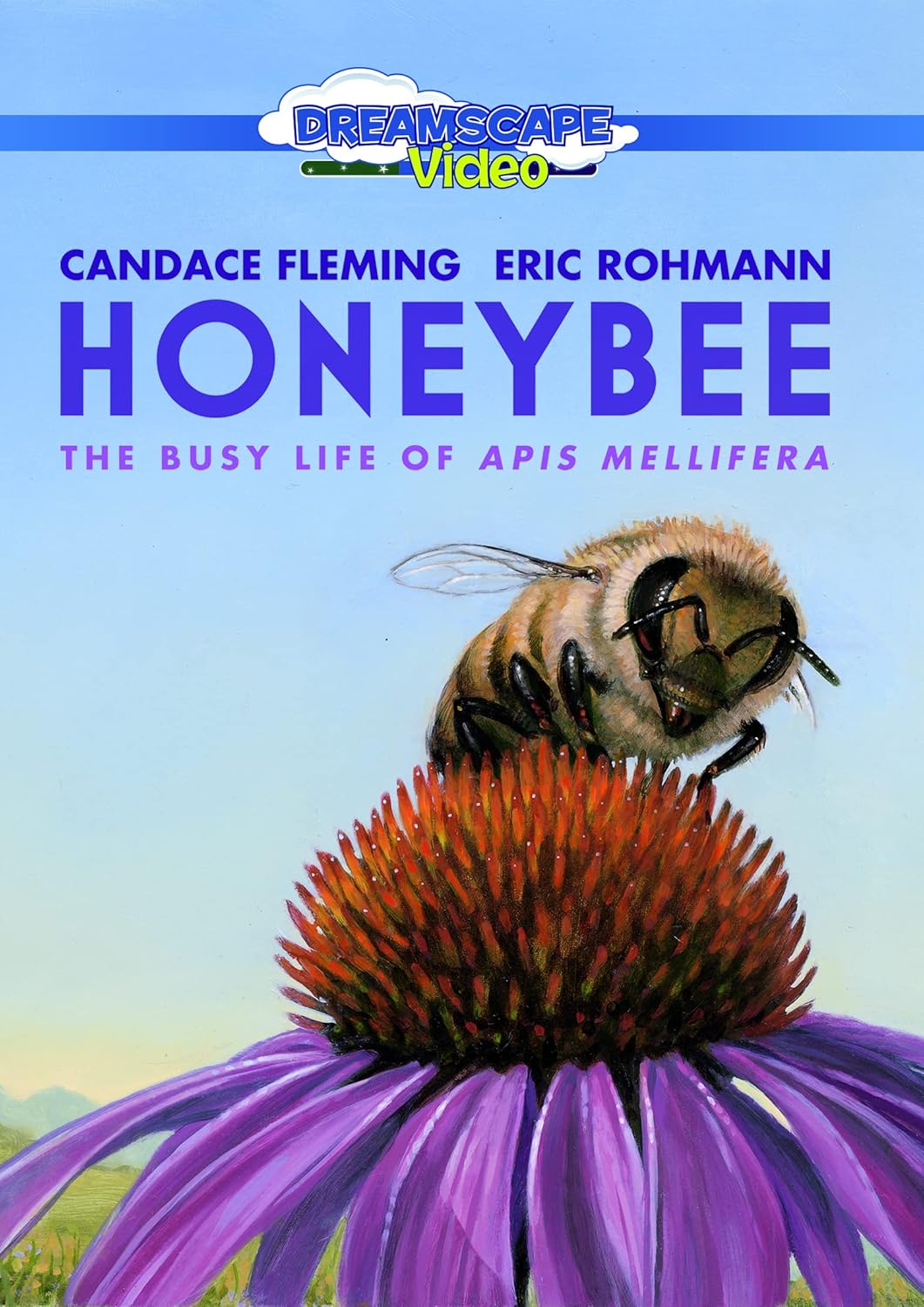 Amazon.com: Honeybee: The Busy Life Of Apis Mellifera : Erin Ruth ...
