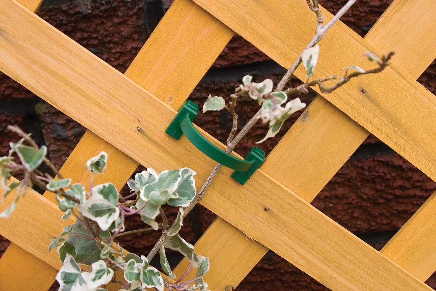 Trellis, Wire & Fence Ties (Pack 8) : Amazon.co.uk: Garden