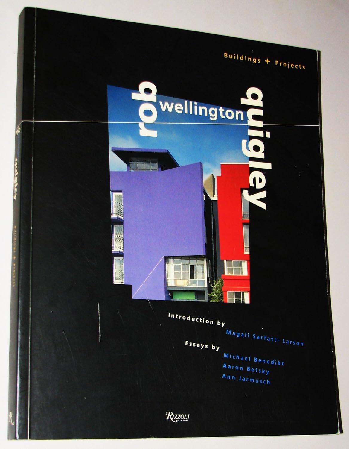 Rob Wellington Quigley: Larson, Magali: 9780847819461: Amazon.com: Books