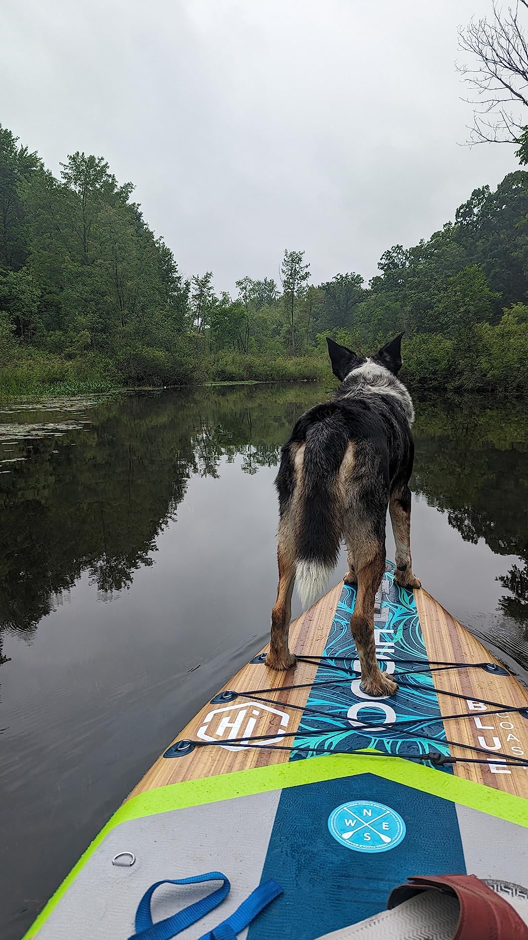 $10/mo - Finance HICOO 11'×34"×6" Extra Wide Inflatable Paddle Board ...