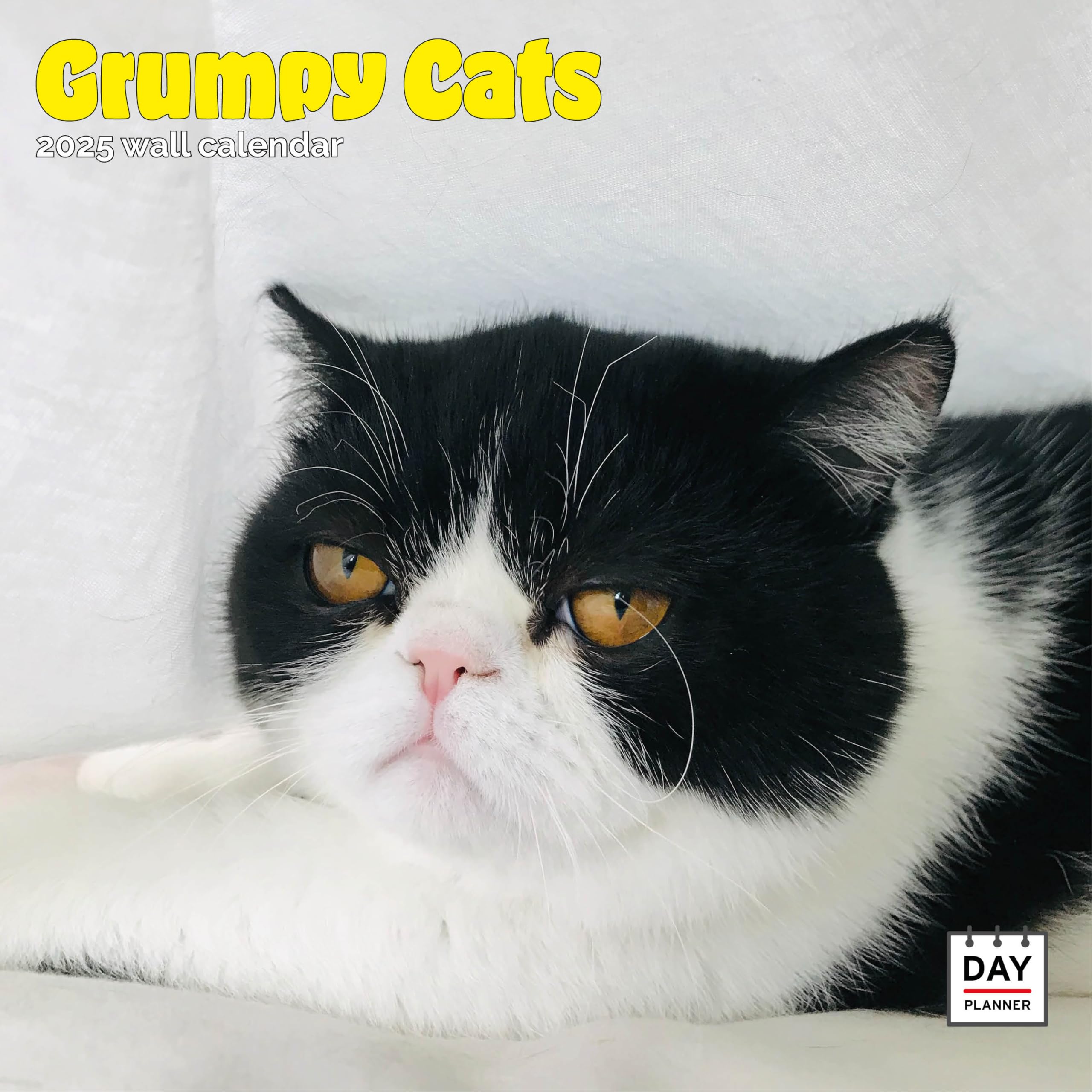 Dayplanner Publishing Grumpy Cats Calendar 2025, Large Square Wall ...