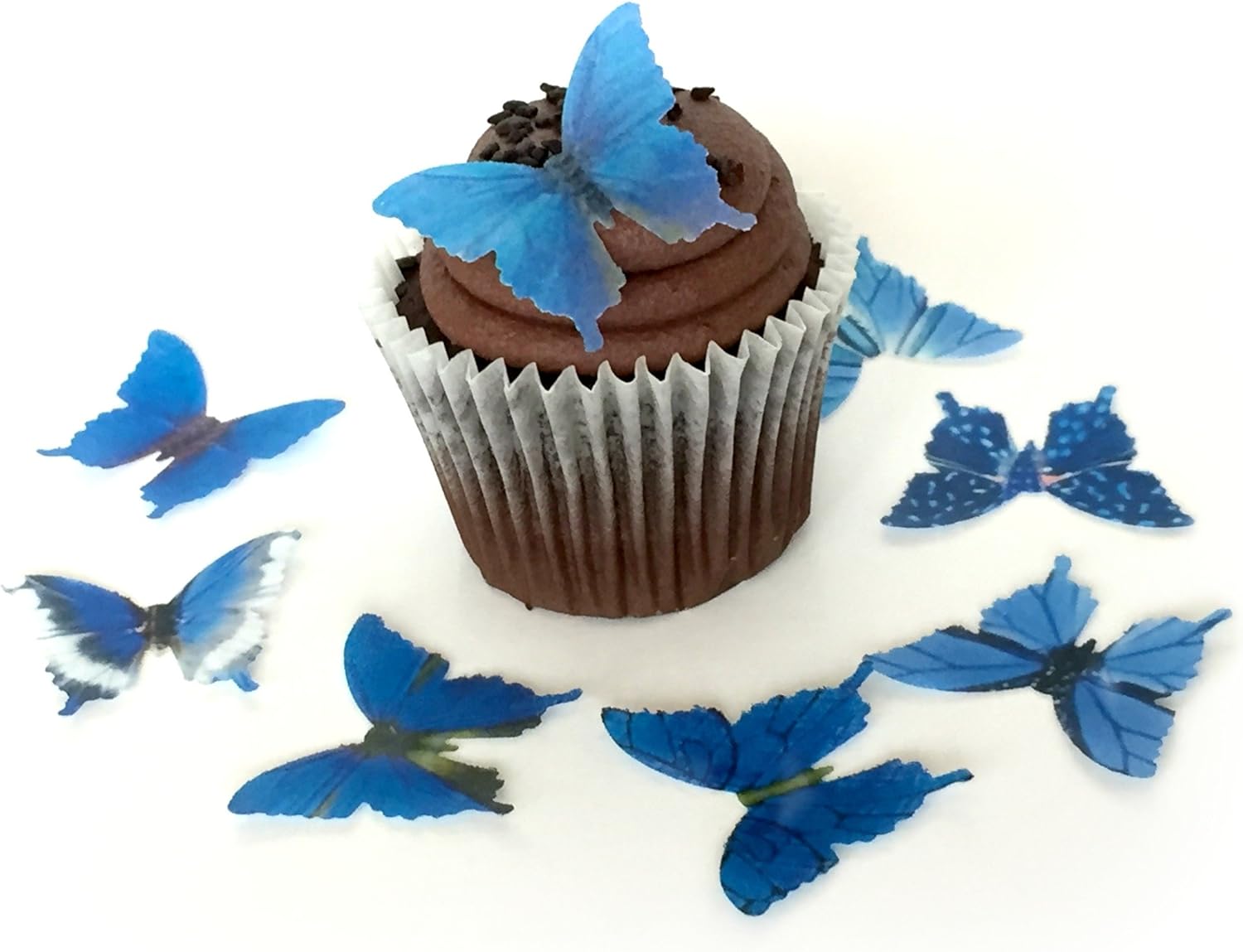 Amazon.com: Assorted Blue Wafer Paper Butterflies 1.75 Inch for ...