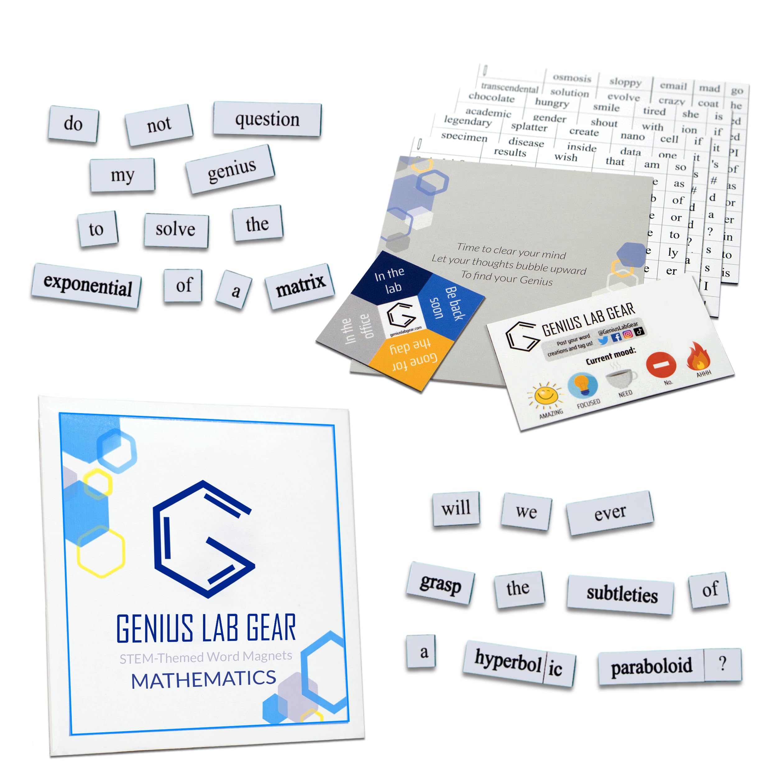 Amazon.com: Mathematics Word Magnets - Funny and Nerdy Word Kit for ...