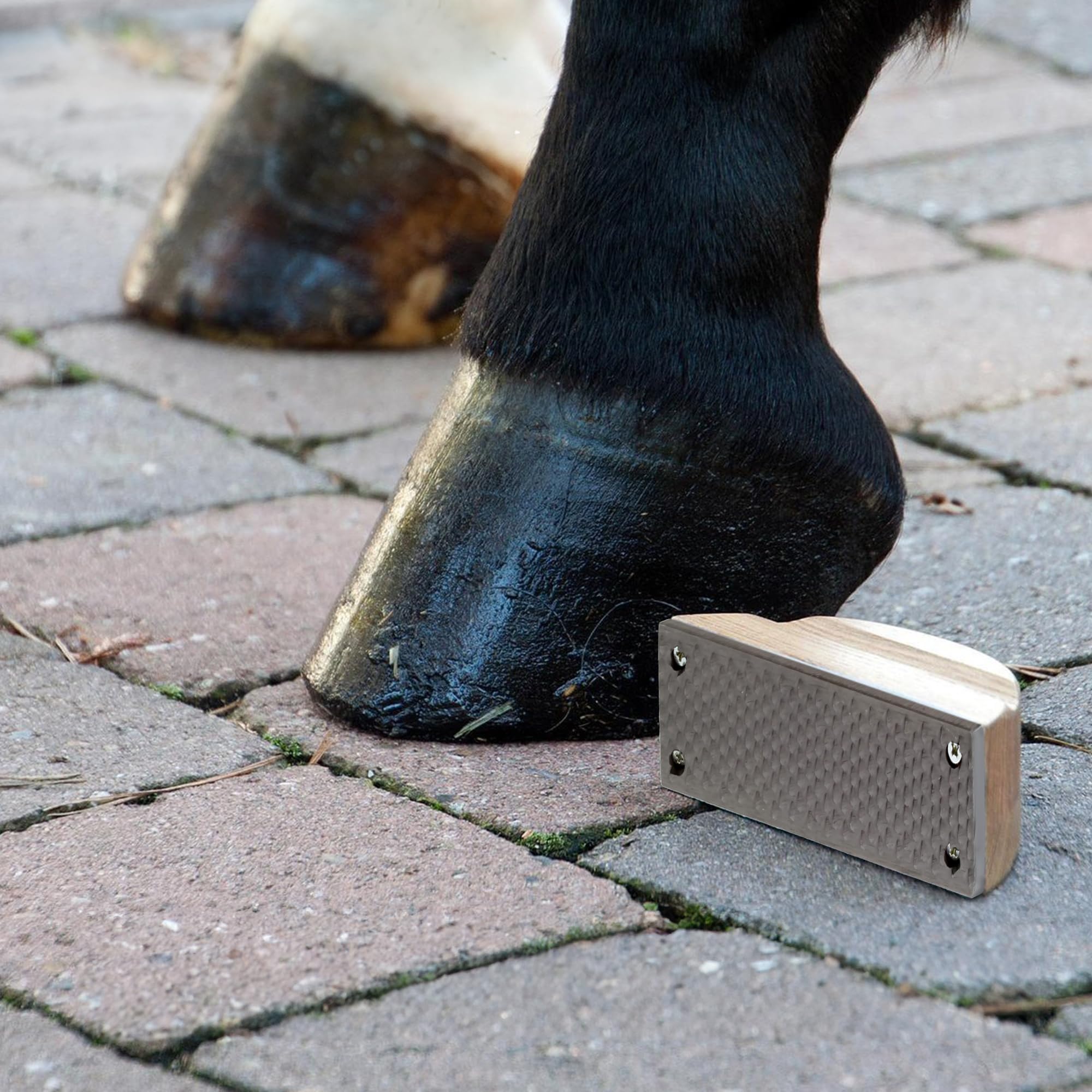 Livestock Hoof Care Rasp 14 Inch Hoof Rasp With Rubber Handle ...