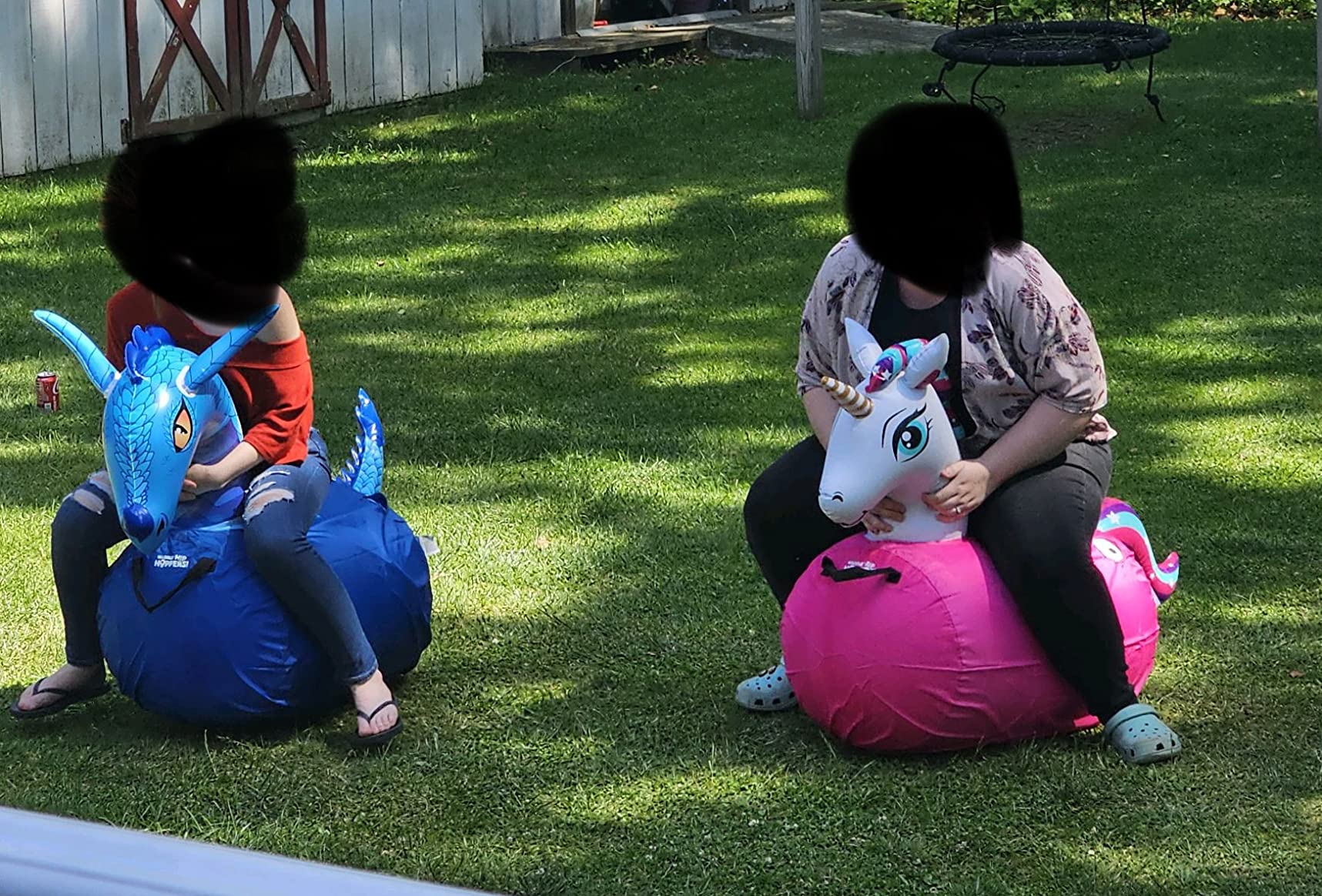$6/mo - Finance WADDLE Hip Hoppers Large Bouncy Hopper Inflatable ...