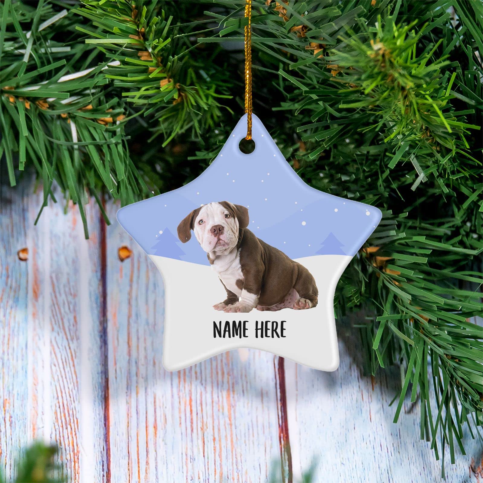 Brown American Bully Names