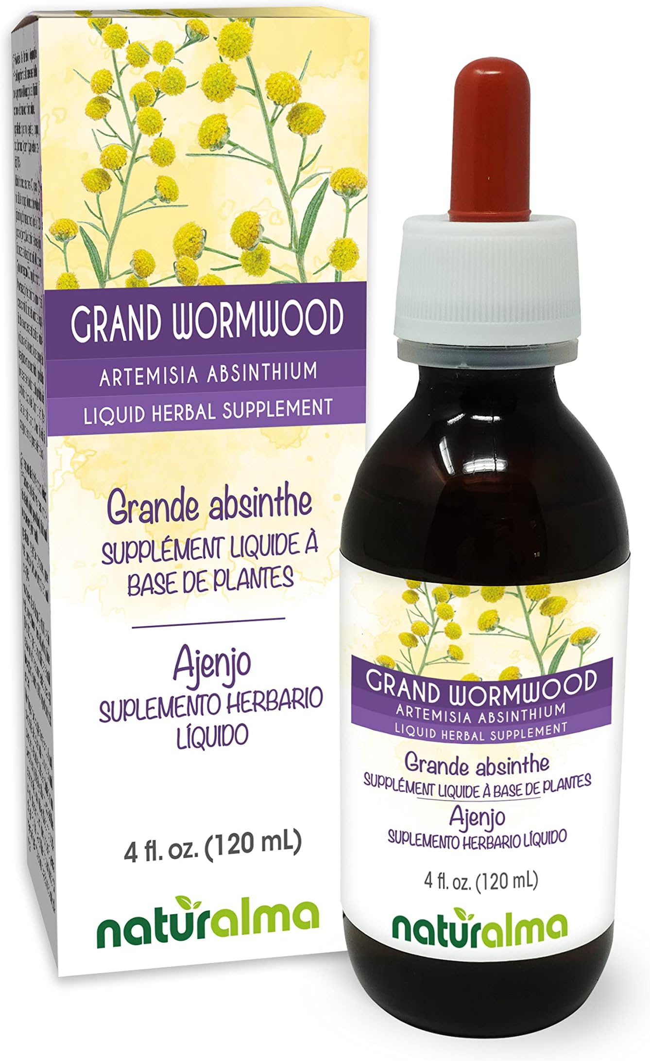 Amazon.com: Naturalma Grand wormwood or Absinthe (Artemisia absinthium ...