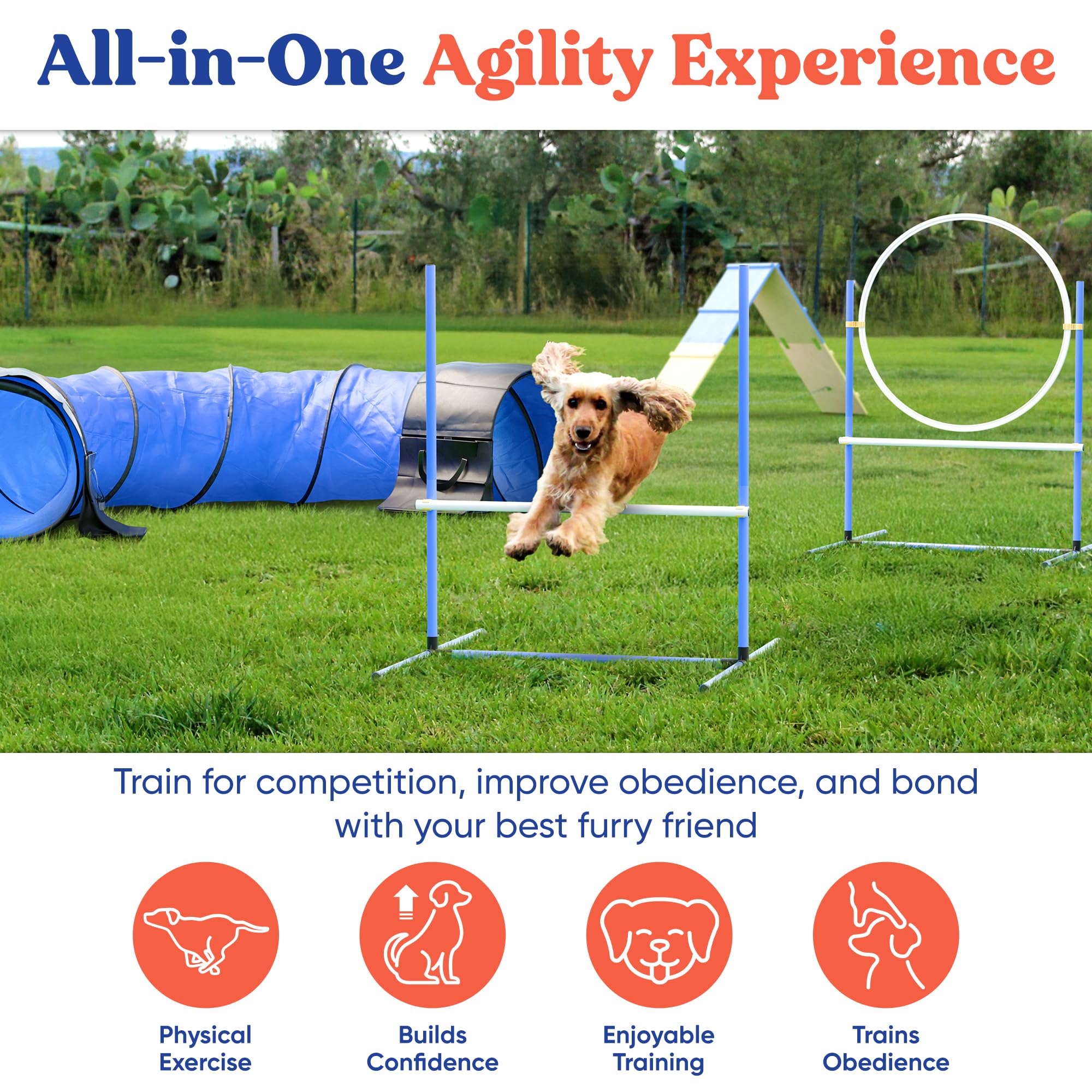 Snapklik.com : FetchFlow Dog Agility Training Equipment Complete ...