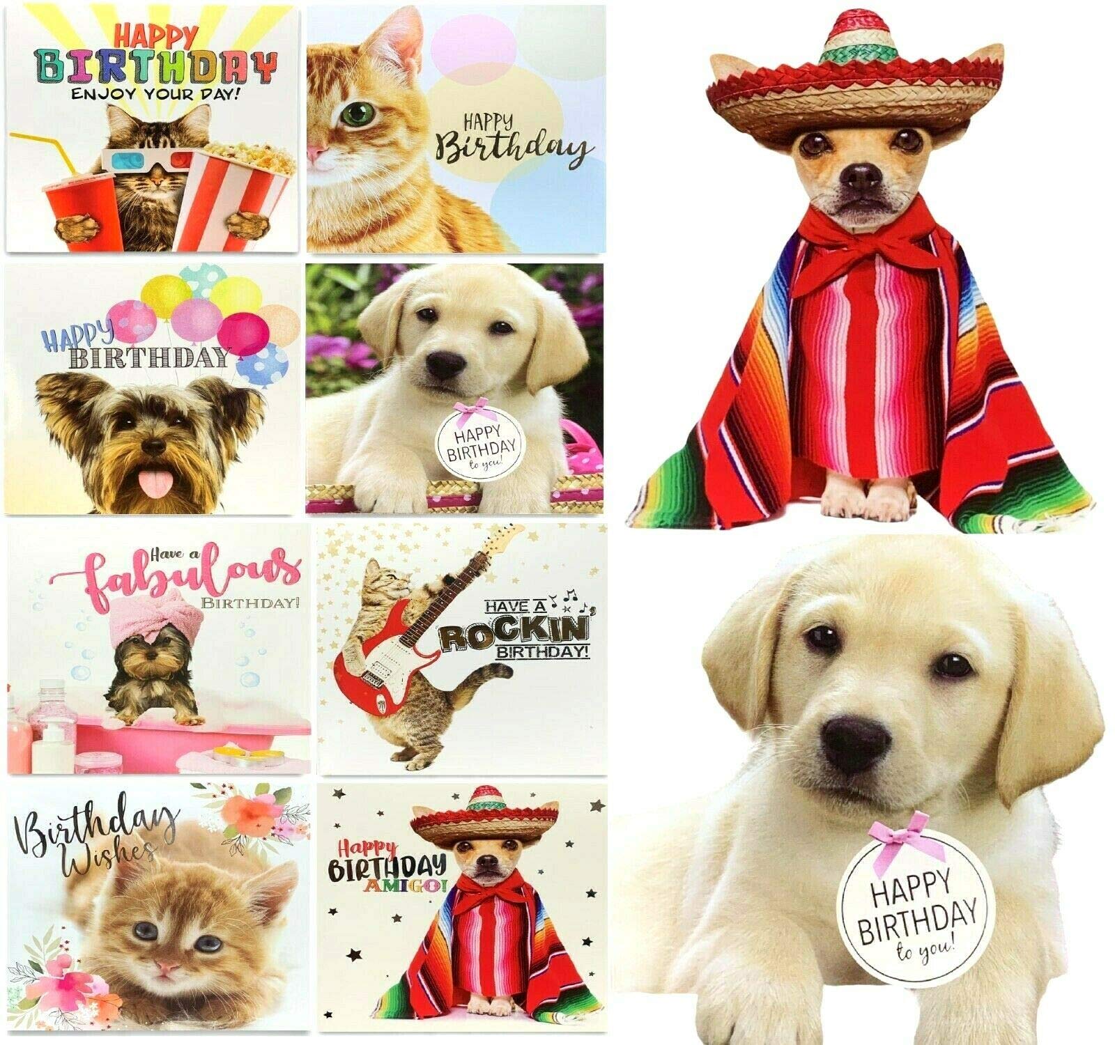 Pack of 8 Mixed Assorted Happy Birthday Pet Cards Greeting Card Cats ...