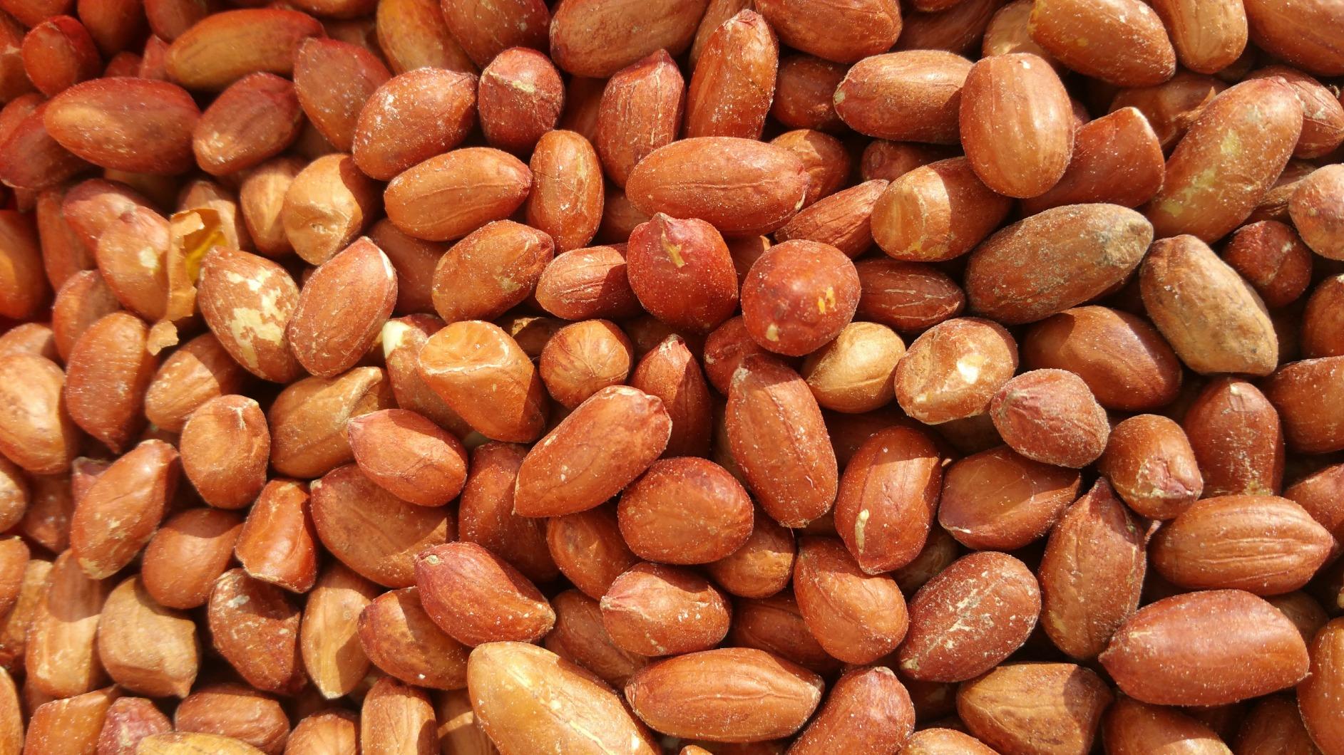 Dawn Lee Raw Red Peanuts, Ground Fresh Nuts (Moongfali Sing Dana) in ...