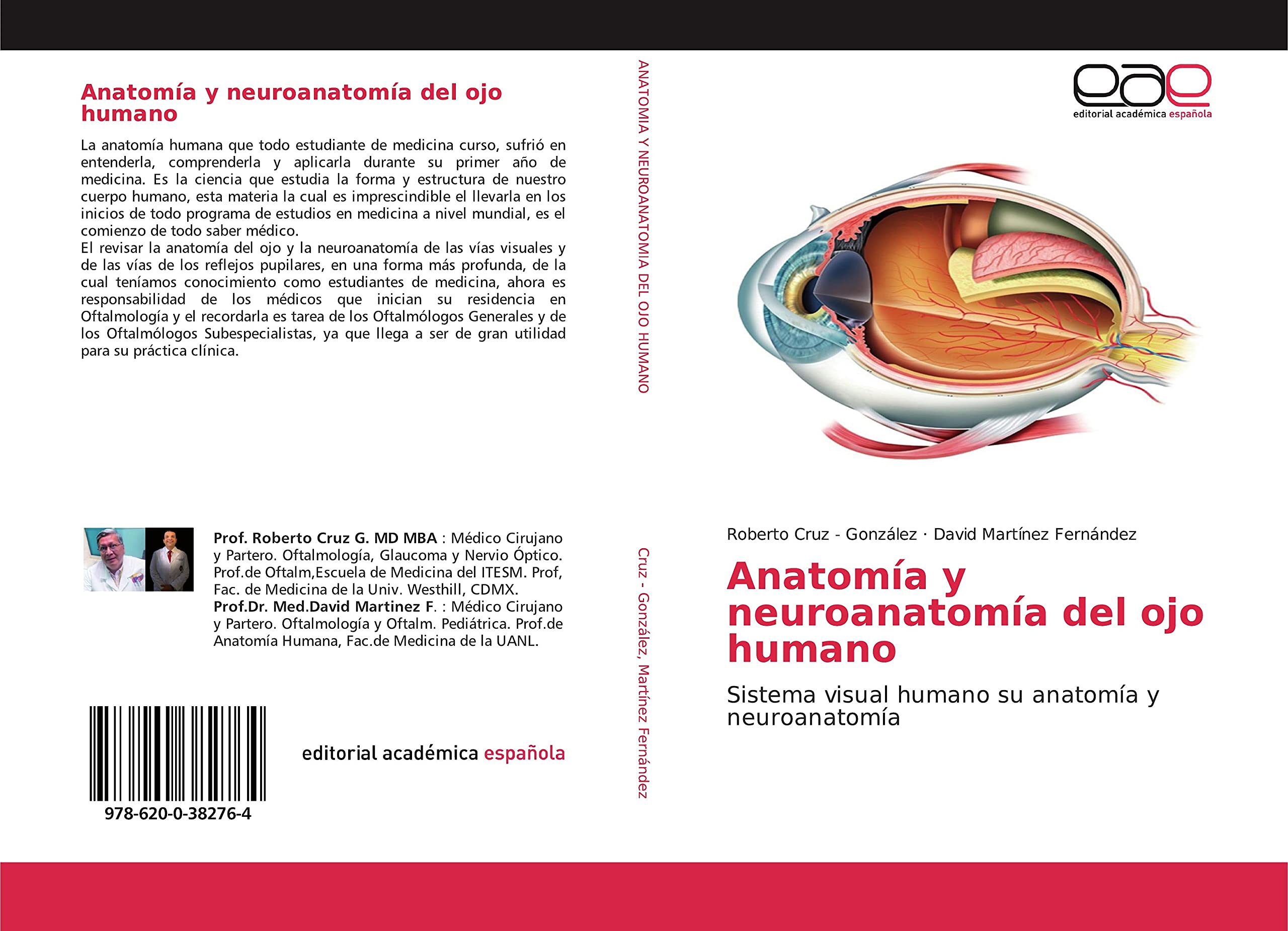 La Anatomía Del Ojo