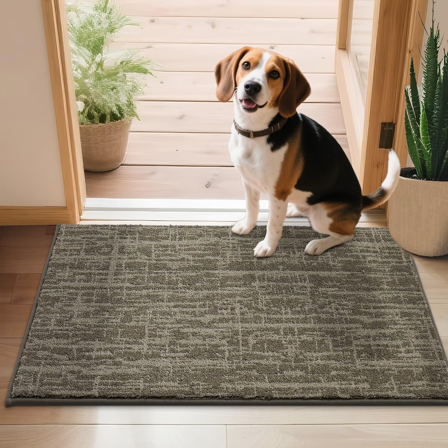 Amazon.com: COSY HOMEER-Door-Mat 24"x36" Non-Slip Entryway Mats ...
