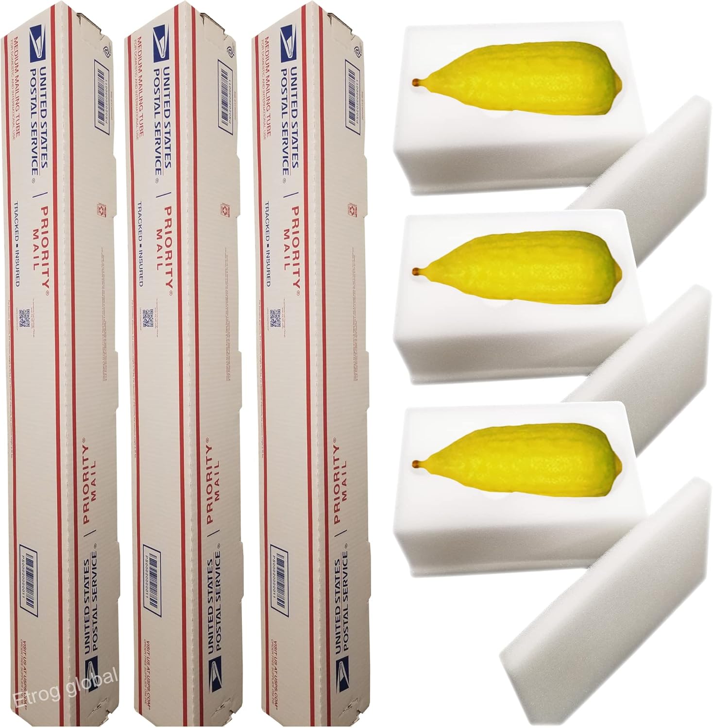 Amazon.com : LULAV AND ETROG | (3 sets) | 100% Certified Kosher - Well ...