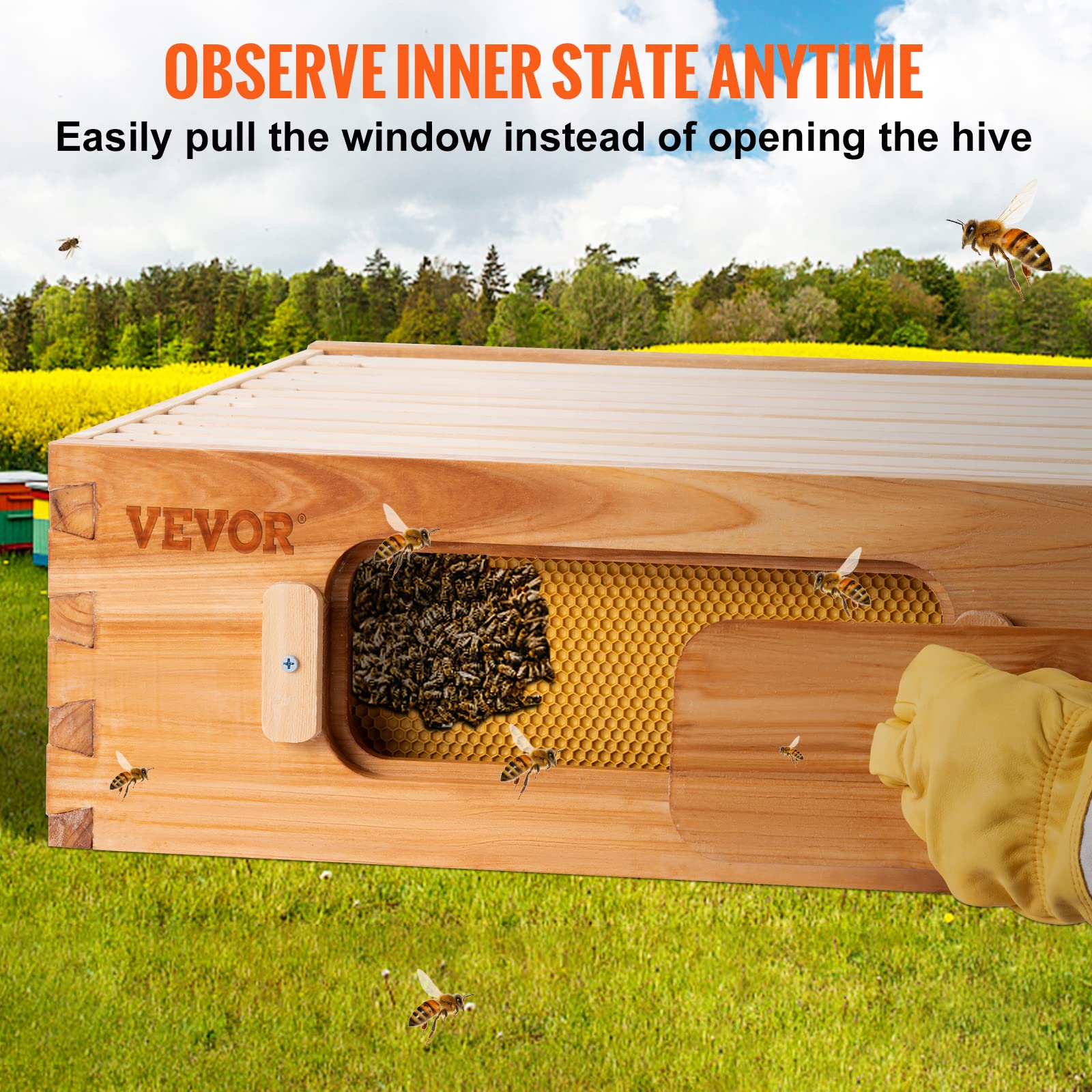 VEVOR Bee Hive Medium Super Box, 100% Beeswax Coated Natural Wood ...