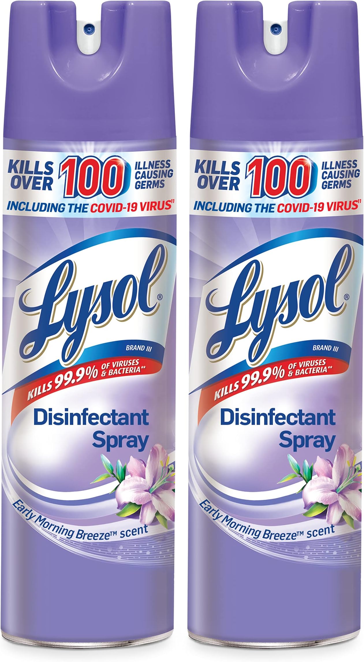 Amazon.com: Lysol 1 oz. Disinfectant Spray To Go : Health & Household